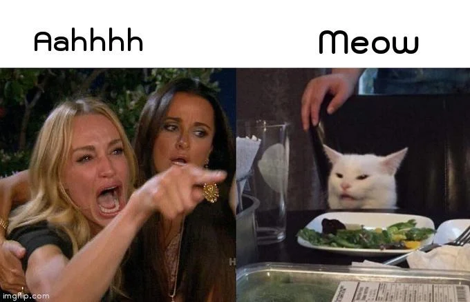 When you take meme literally | Scrolller