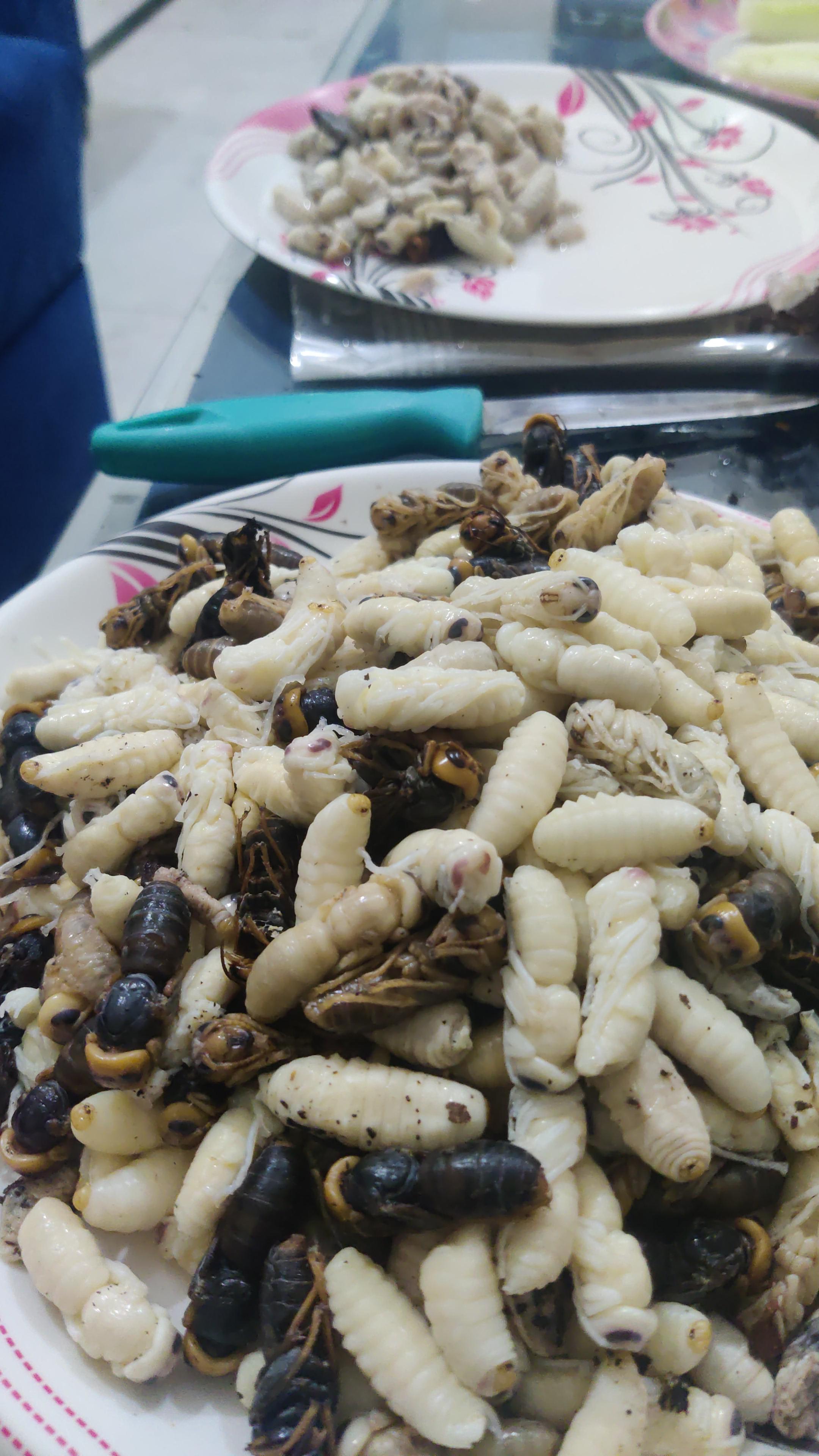 [Homemade] Hornet Larva | Scrolller