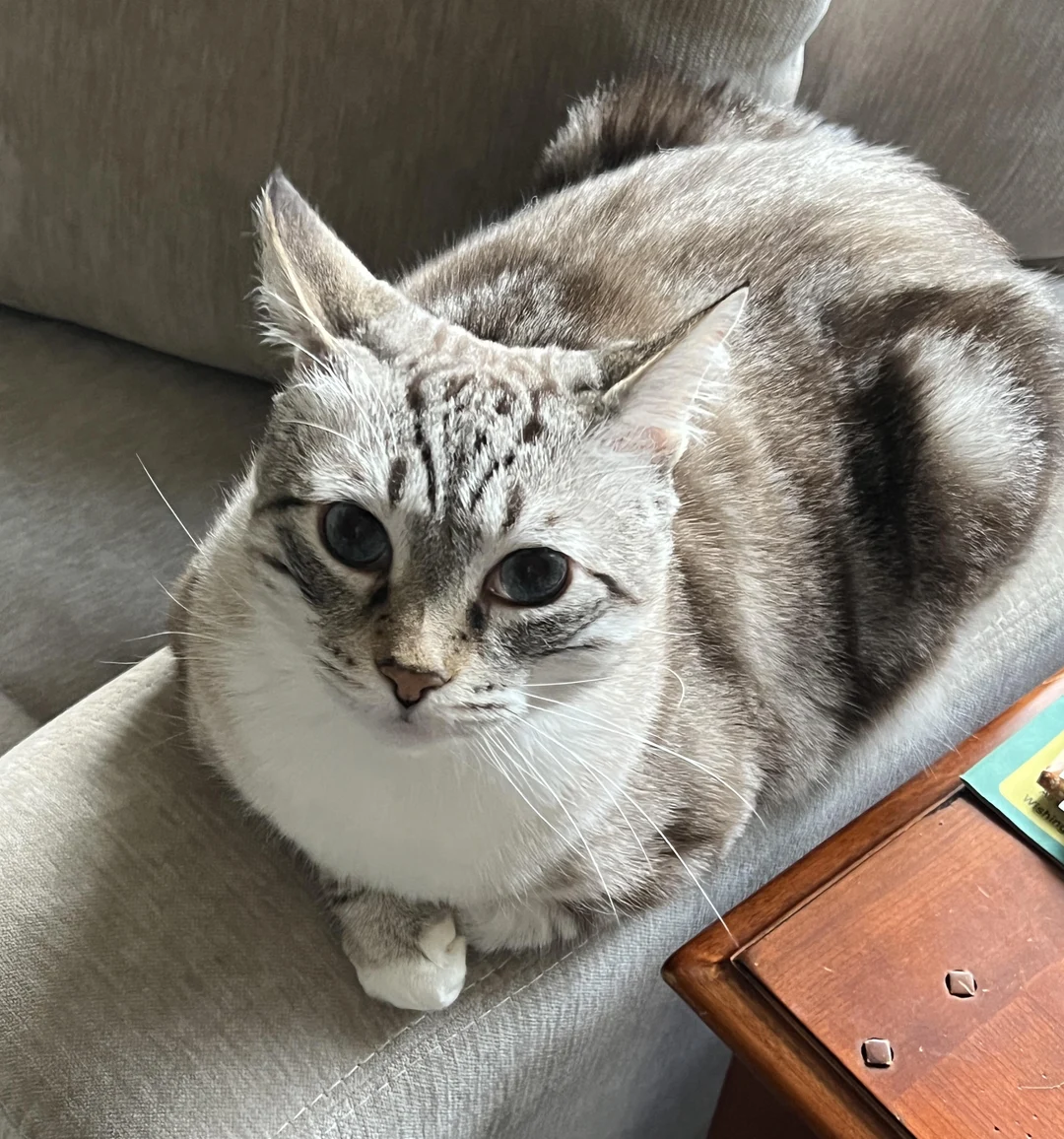 a very handsome loaf | Scrolller