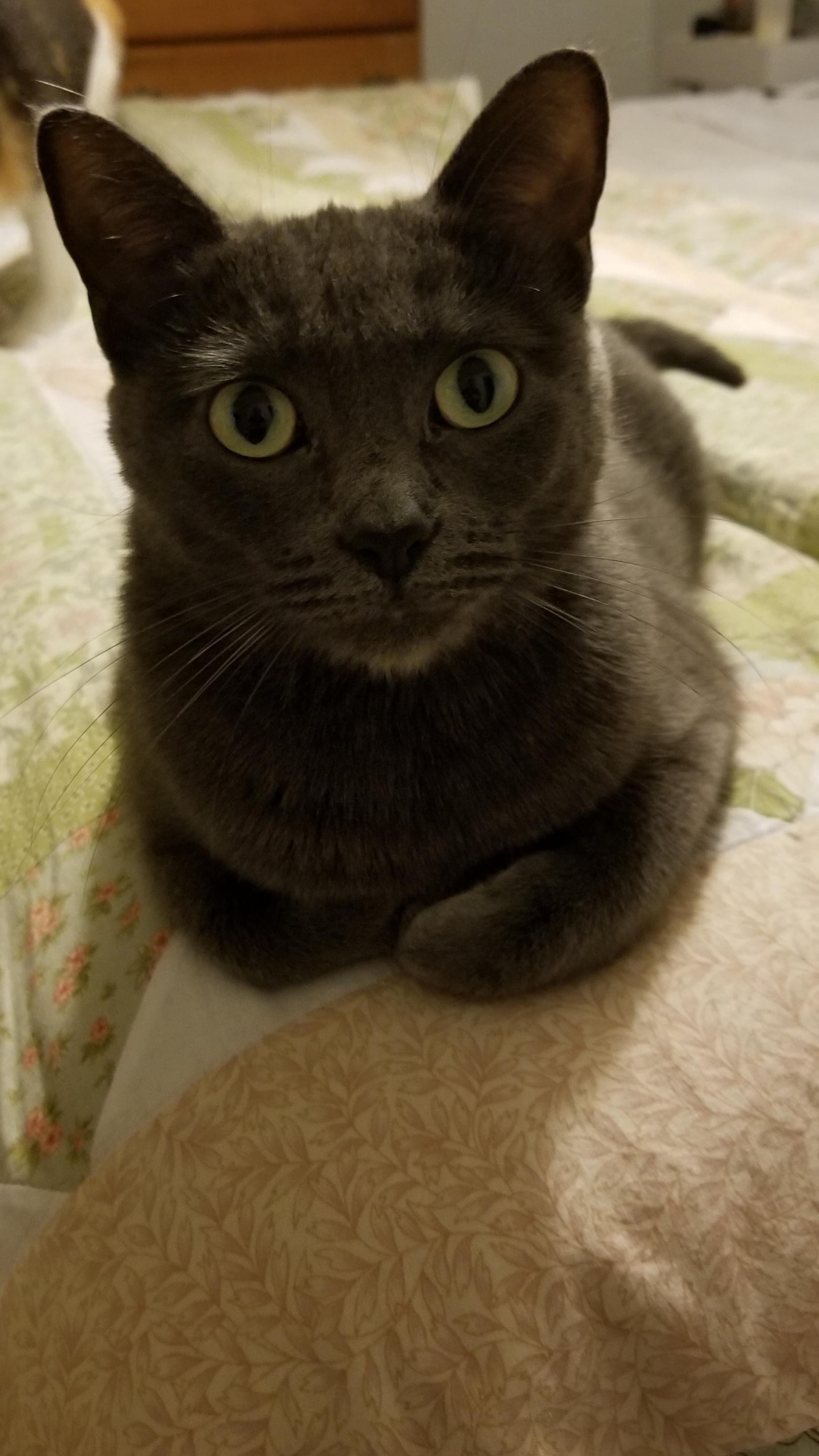 Eyebrows | Scrolller