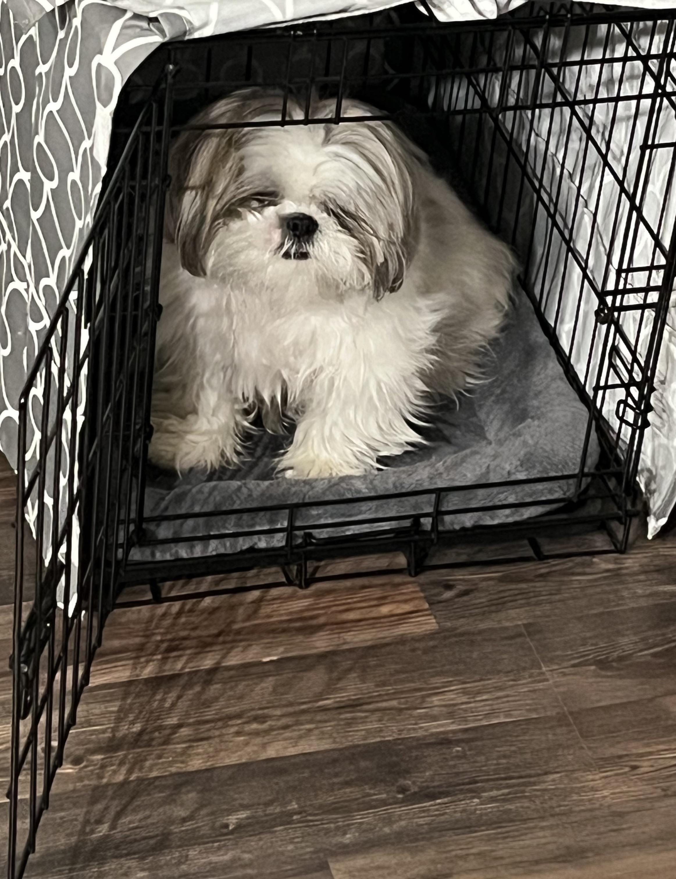 Ms. Peanut is NOT a morning person! | Scrolller