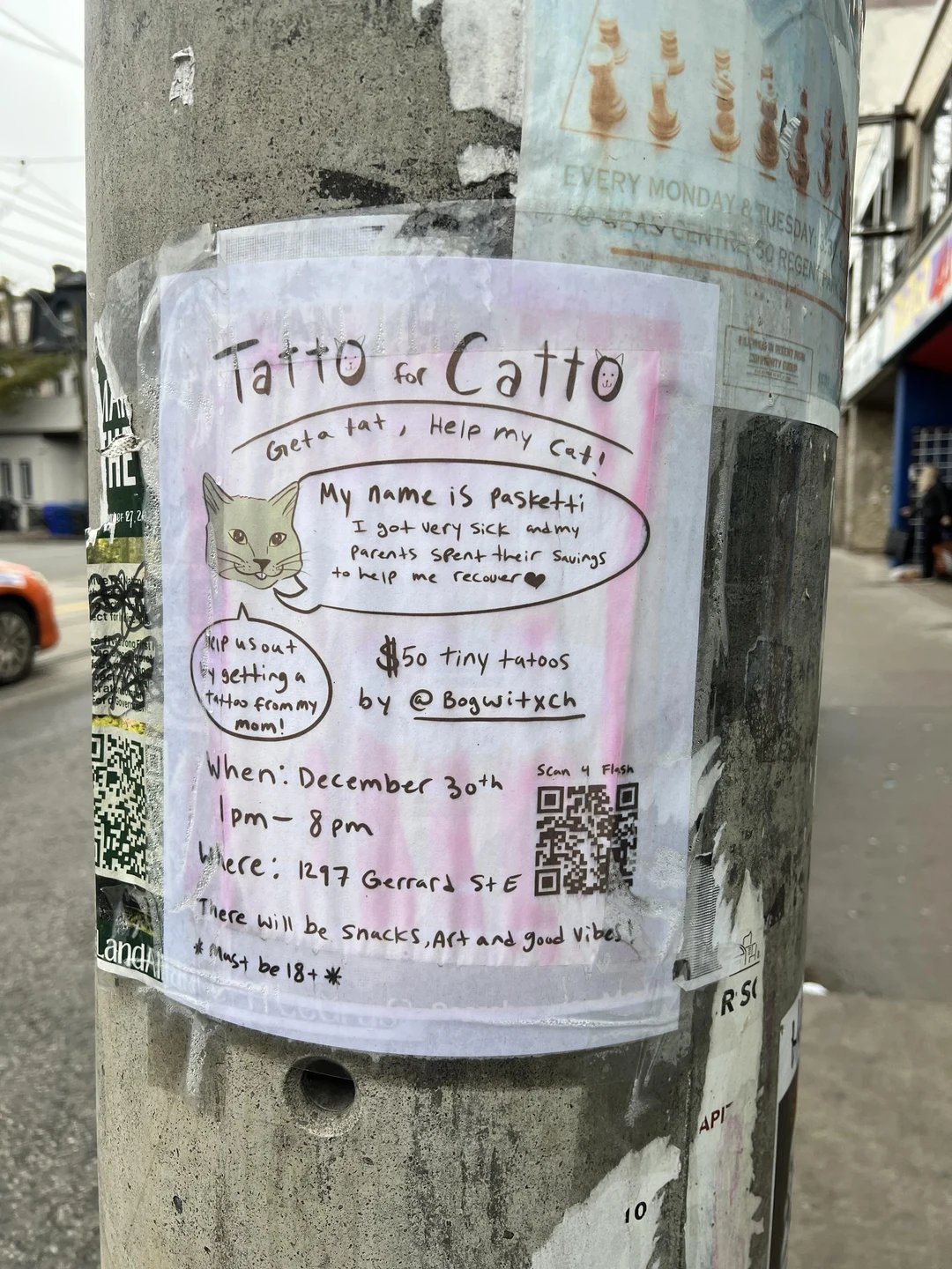 Tatto for Catto | Scrolller