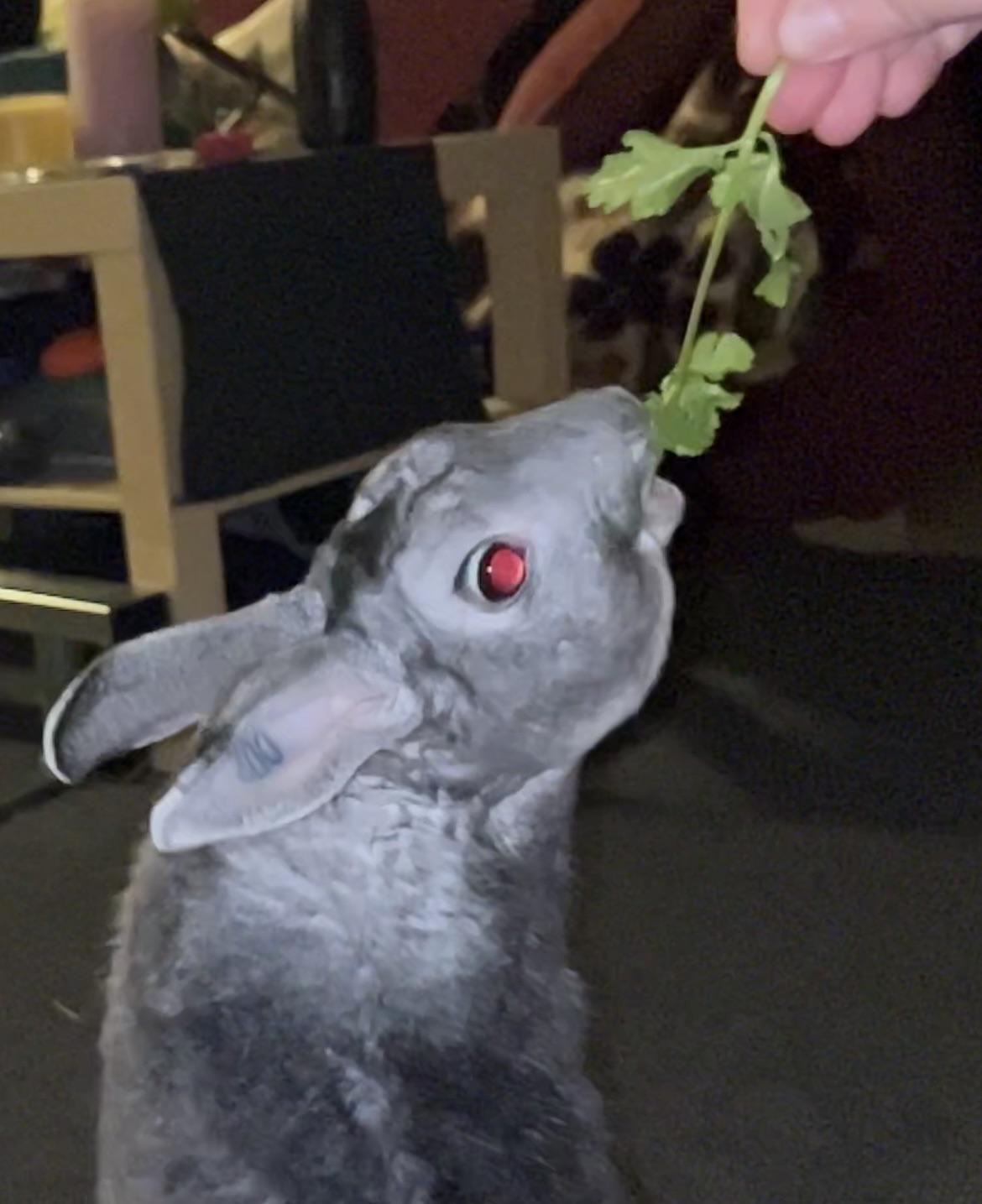 Weird creature!! | Scrolller