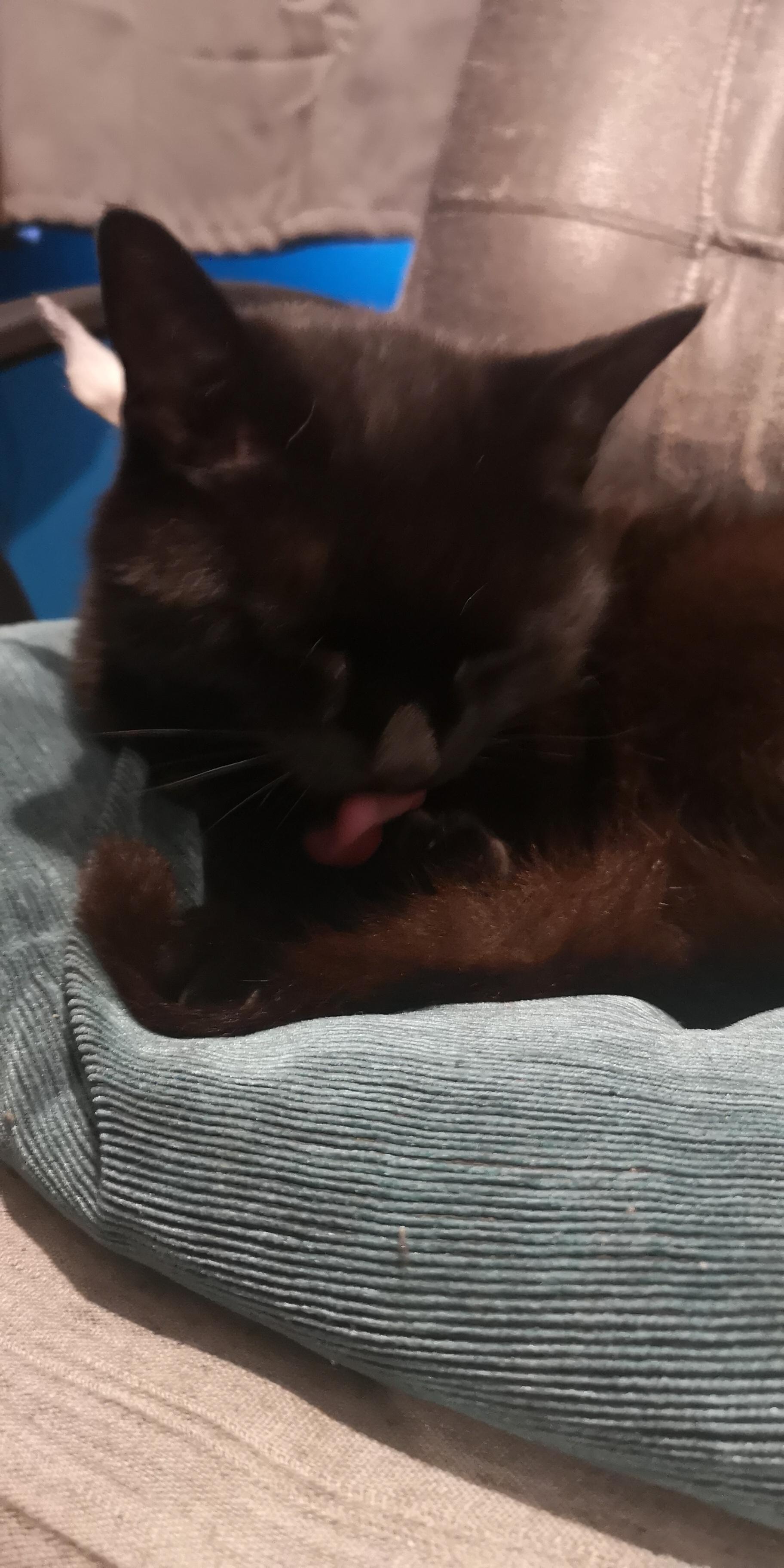 This is coco he is a void that is all | Scrolller