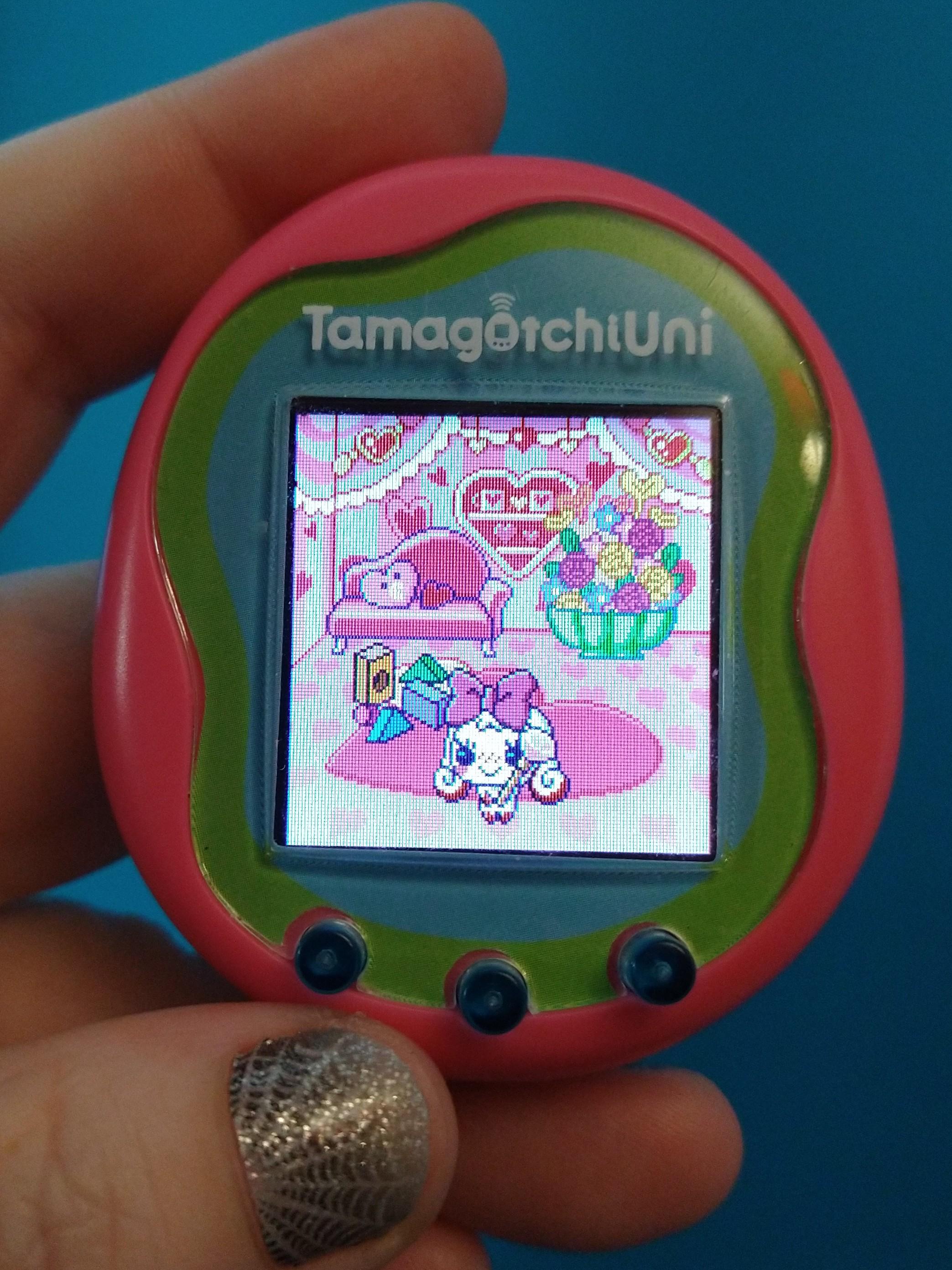 First-timer here! Any helpful tips? | Scrolller