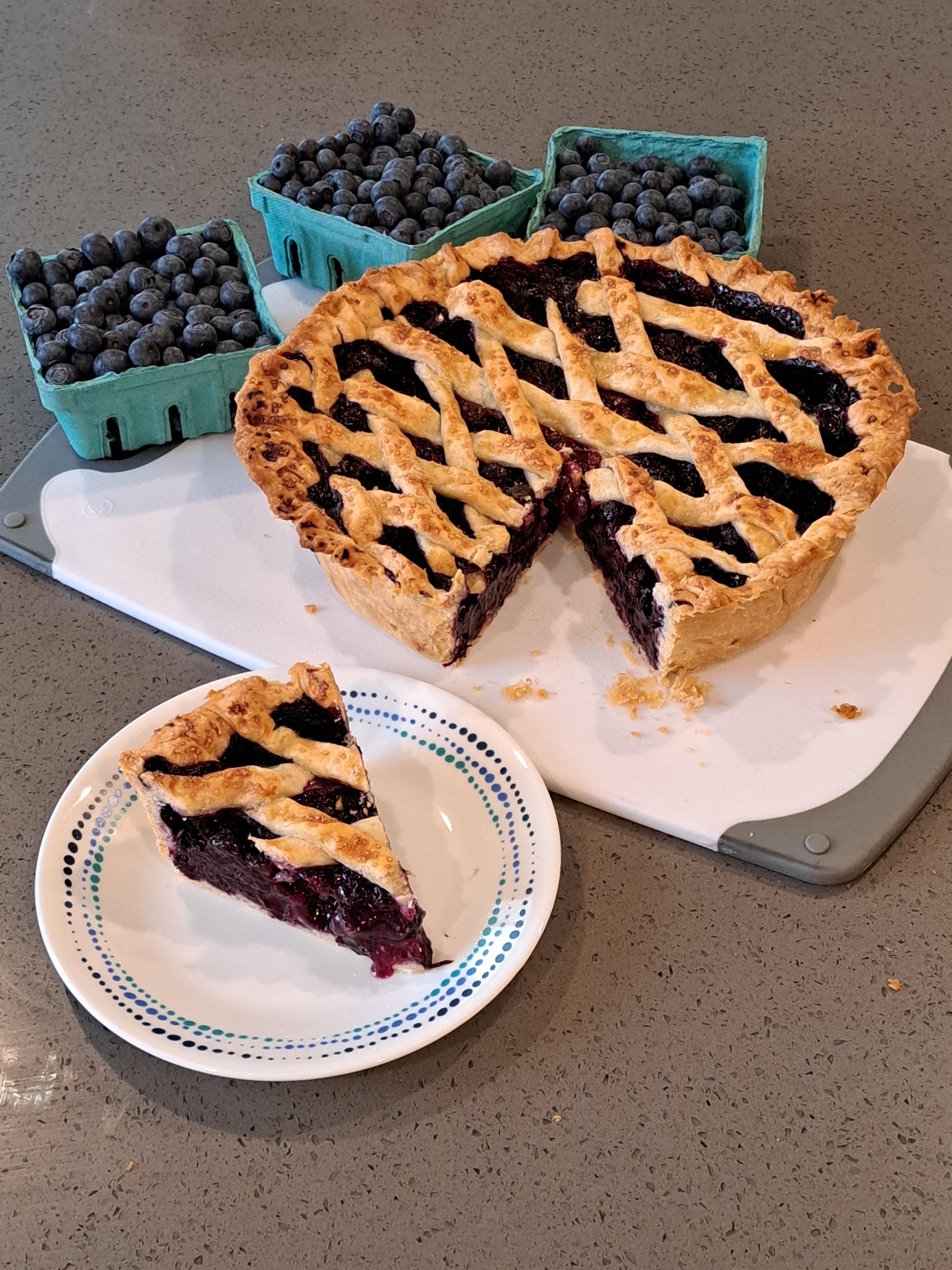 [homemade] Blueberry pie | Scrolller