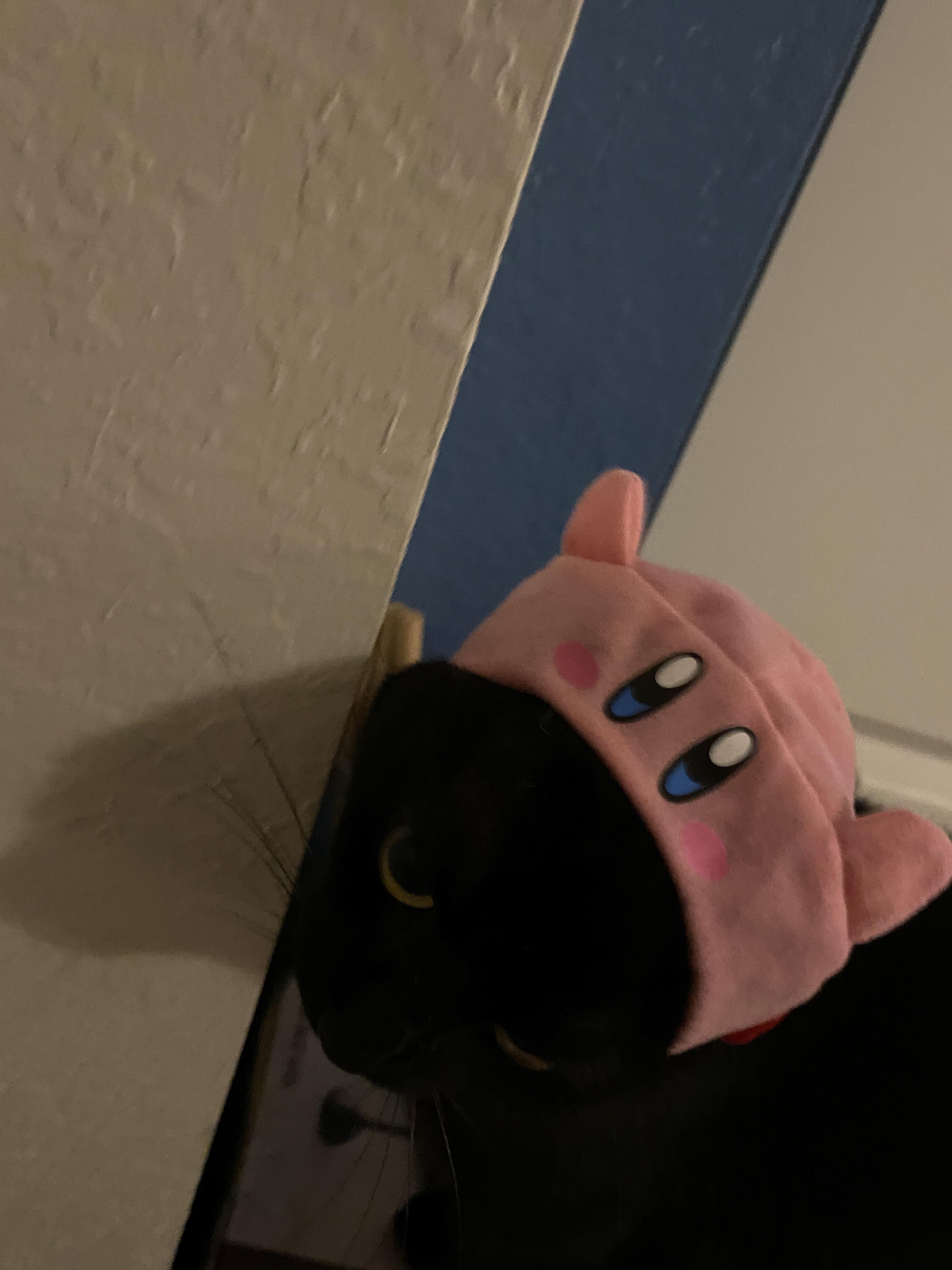 Void kirby | Scrolller