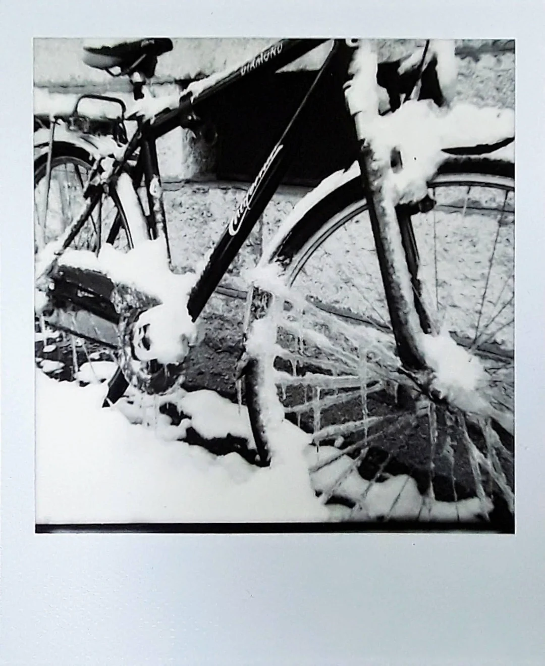 bIcecycle - BW 600 | Scrolller