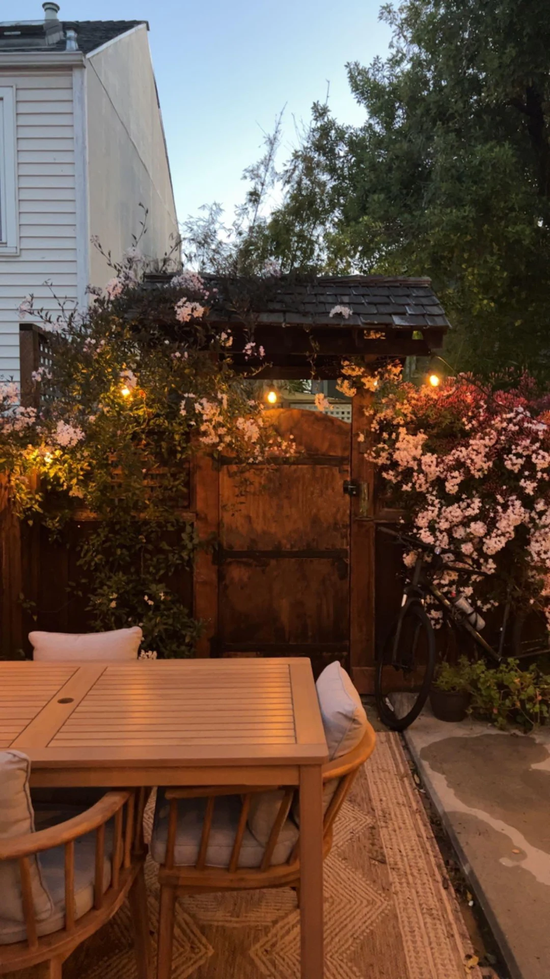 Jasmine season in my backyard | Scrolller