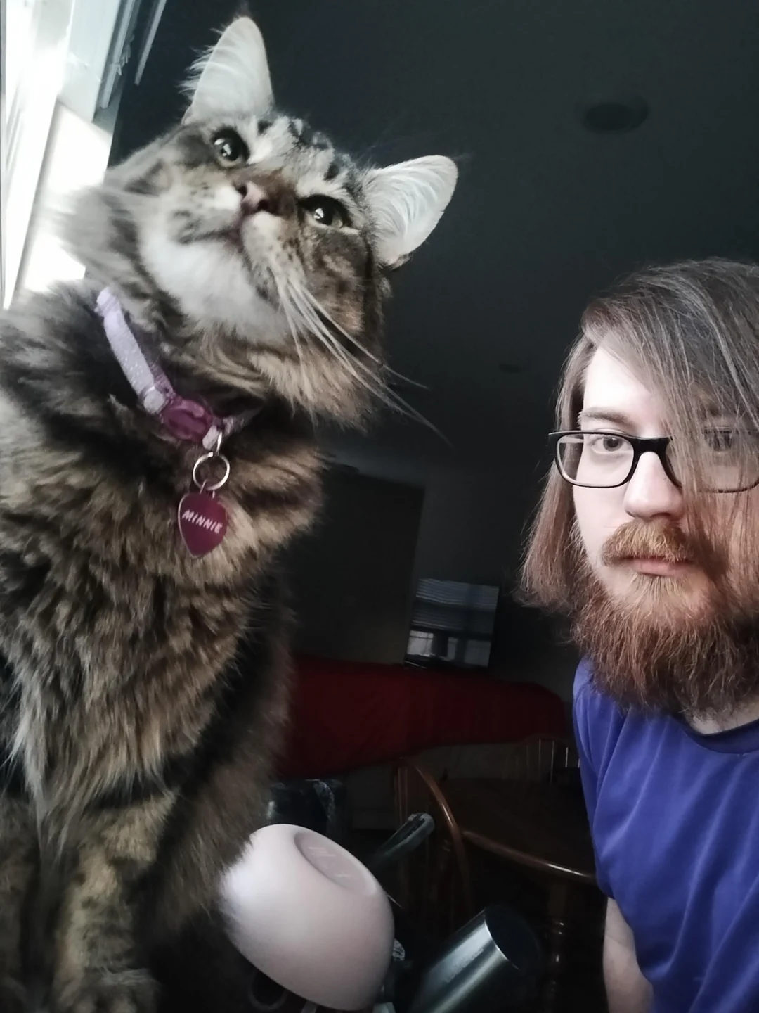 Stripey floof | Scrolller