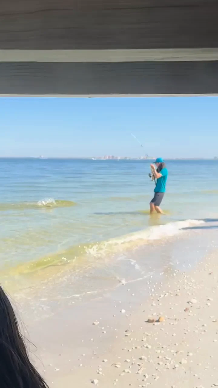 First Redfish!!! SW FL | Scrolller