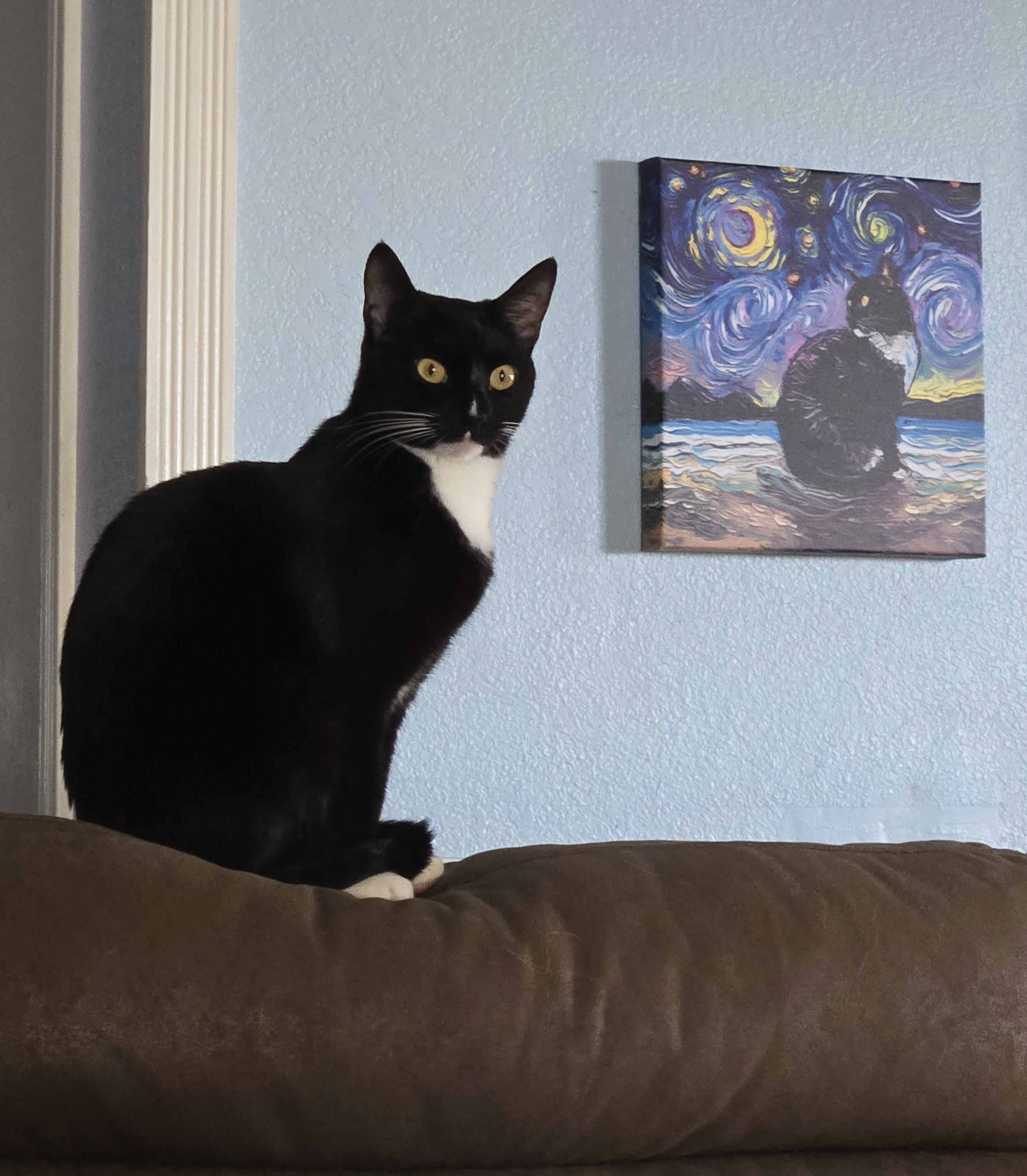 Meet Minnie. Scored her sweet Van Gogh at Tjmaxx. | Scrolller