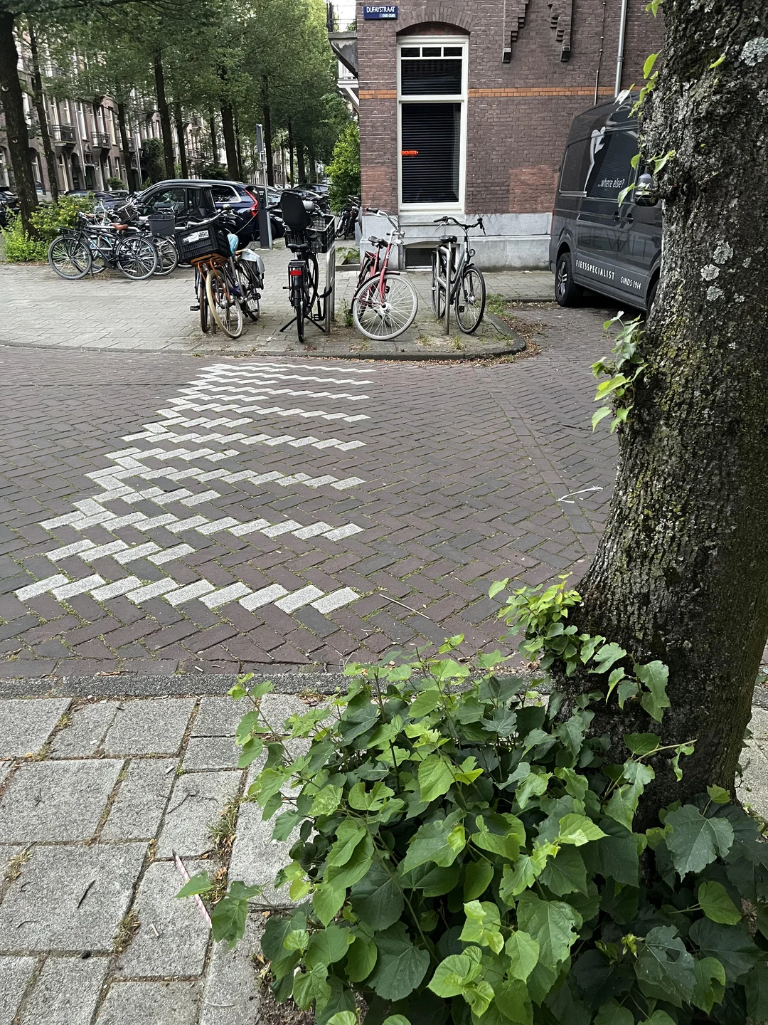 Free surprise in this Amsterdam bush | Scrolller