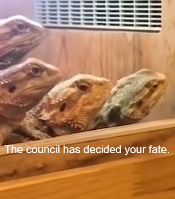 Some lizards | Scrolller