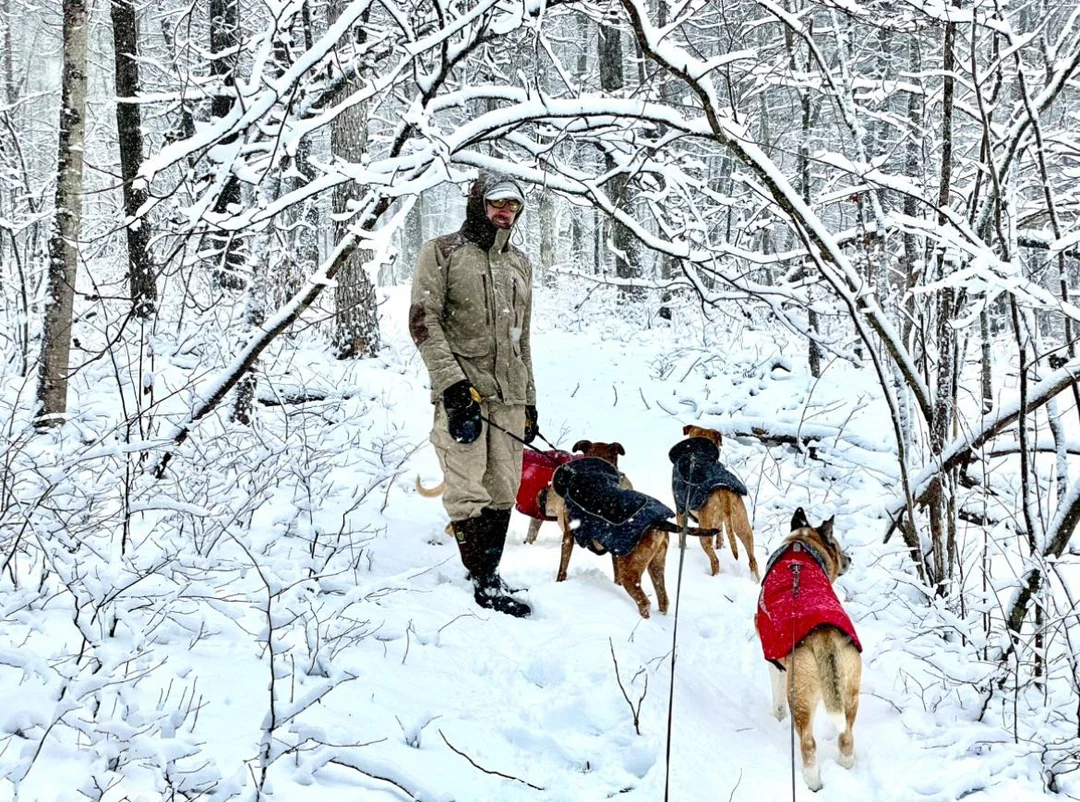 Mush, Mush. Hudson Valley | Scrolller