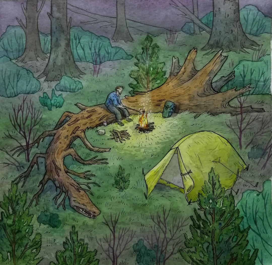 How calm in the forest | Scrolller