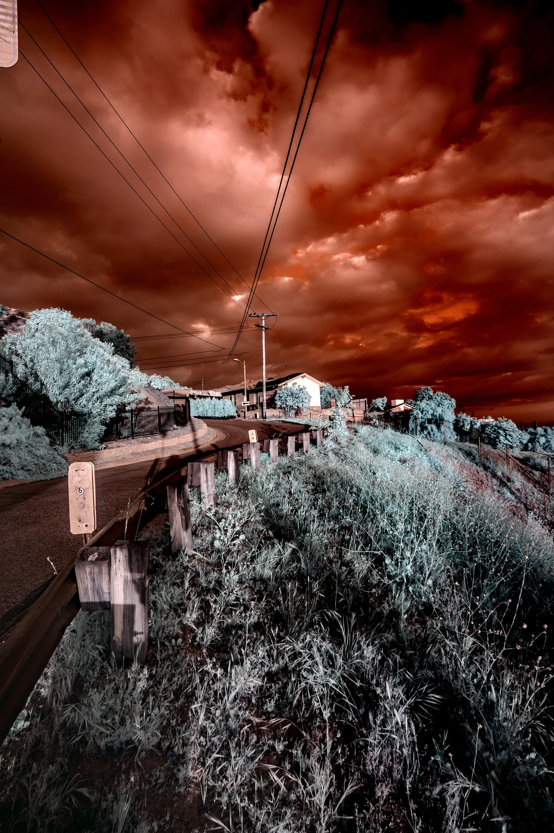 Approaching the road | Scrolller