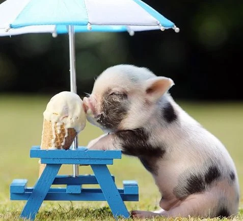 Cooling off from the summer heat | Scrolller