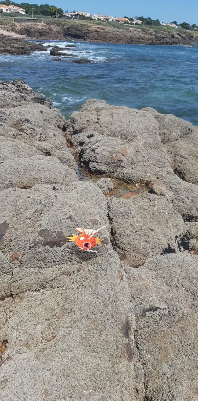 Magicarp in the sea | Scrolller