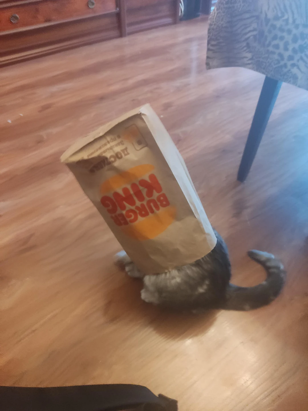 She's fine, don't worry. | Scrolller