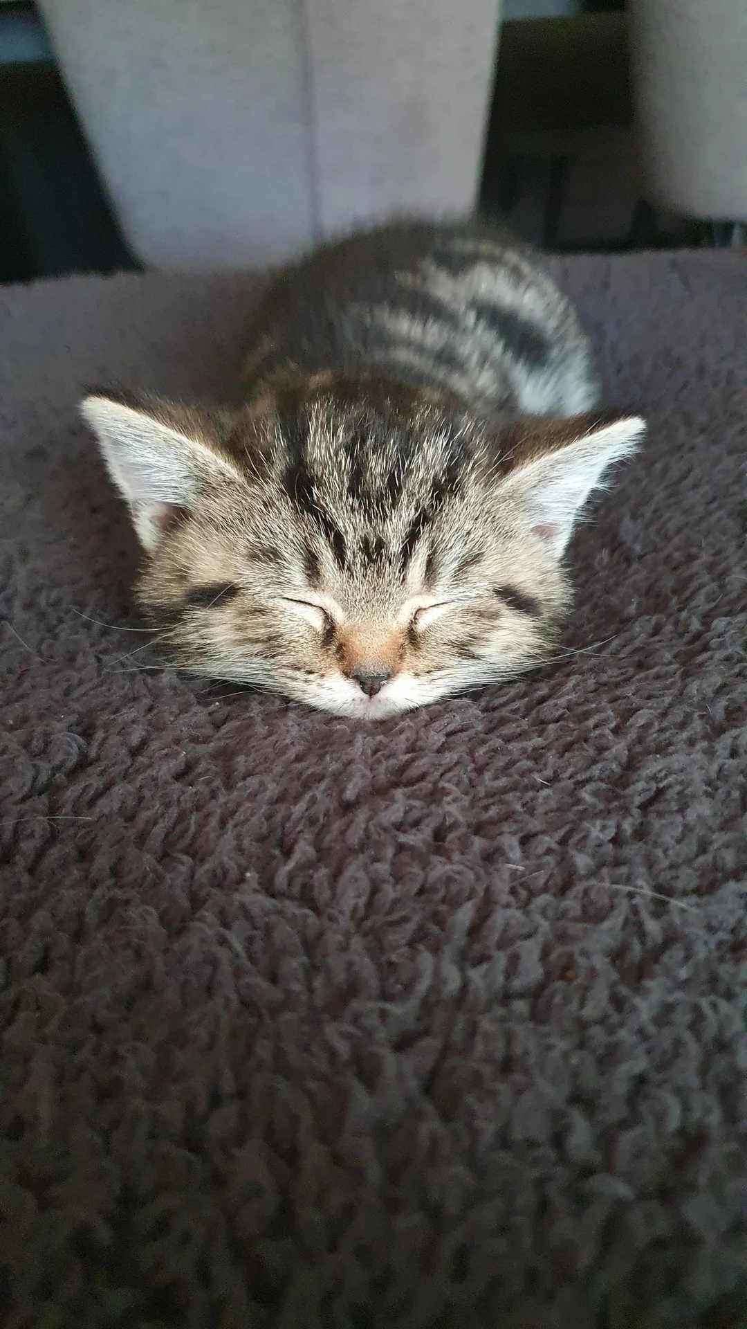 Just chilling [OC] | Scrolller