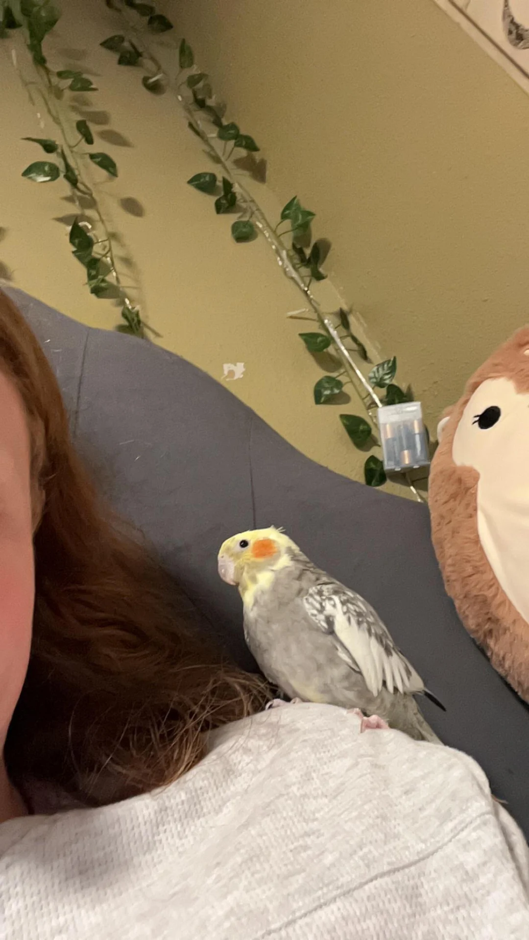 First time back with the birb in 3 months | Scrolller