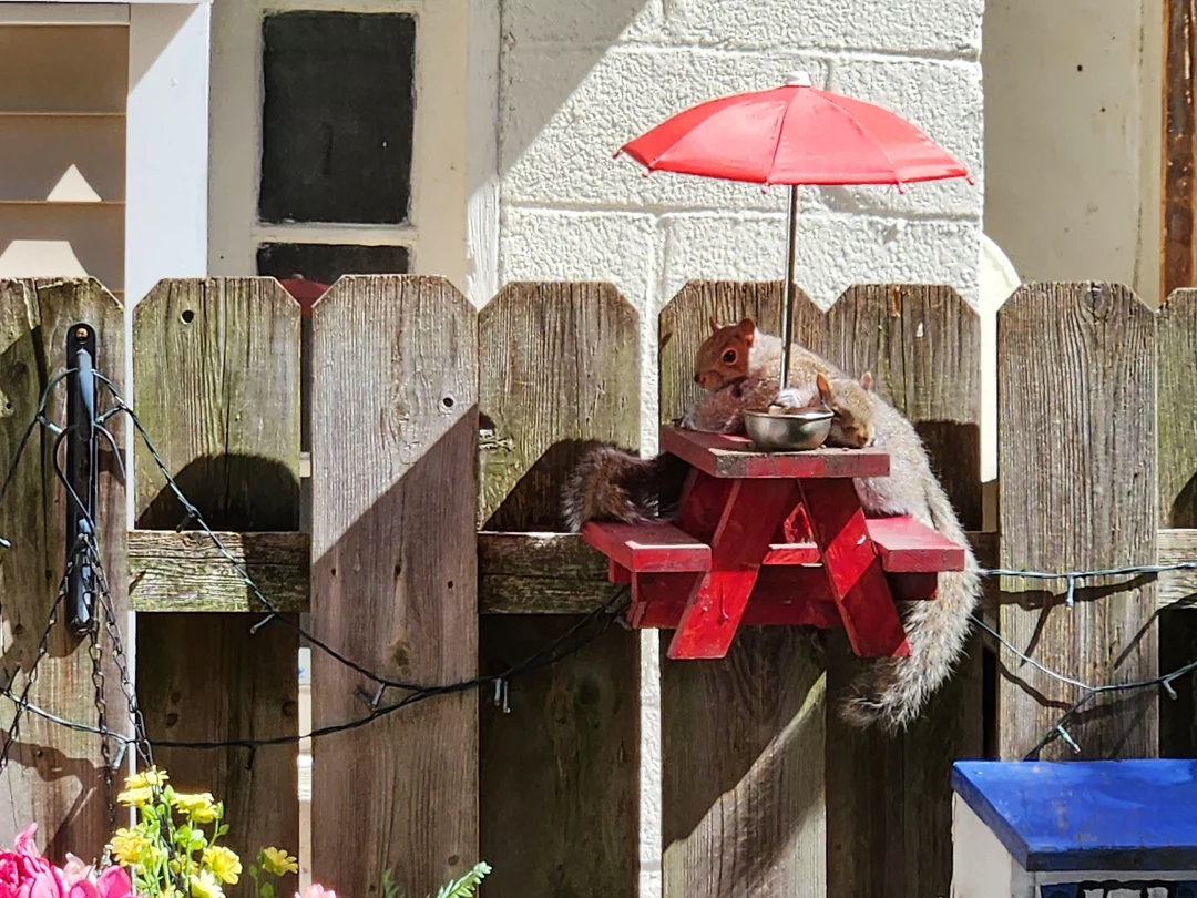 Another photo of the new babies | Scrolller