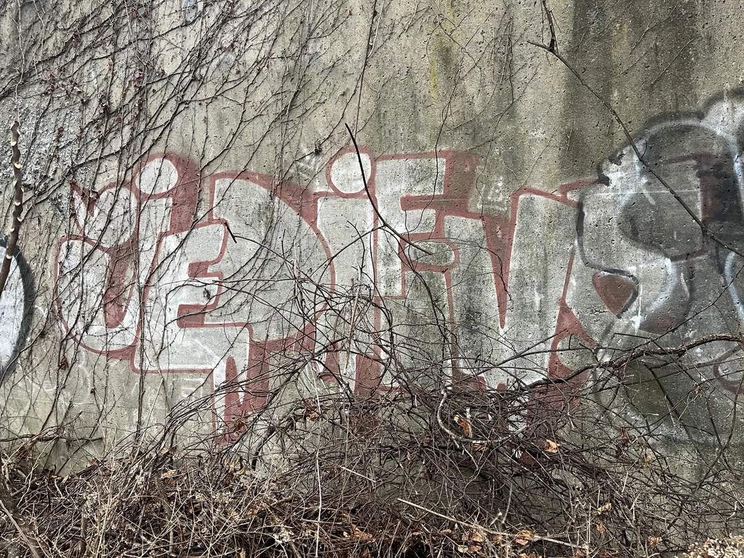 Jedi5 2005 | Scrolller