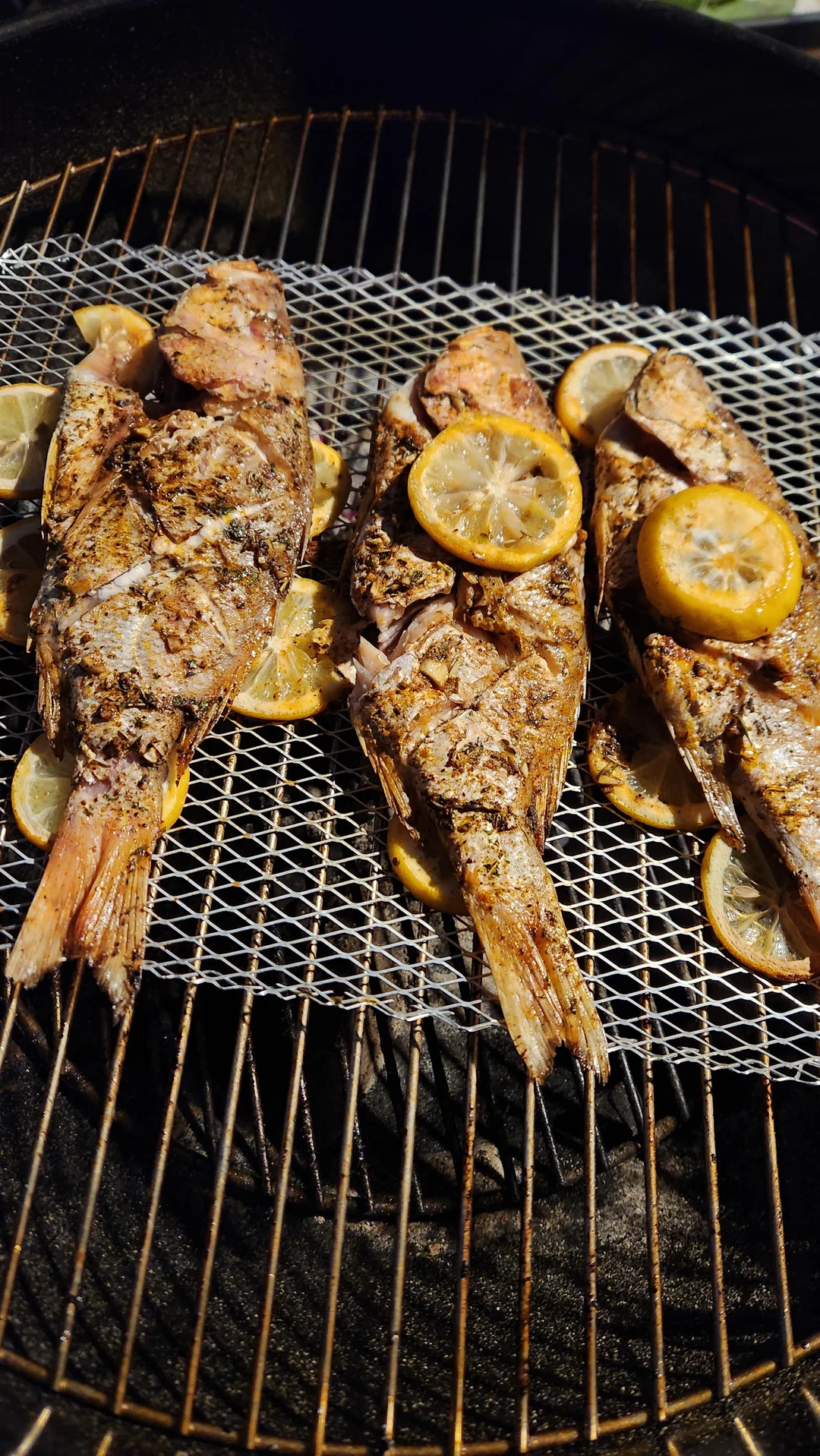 Wife's bday. First time grilling fish. Came out goood. | Scrolller