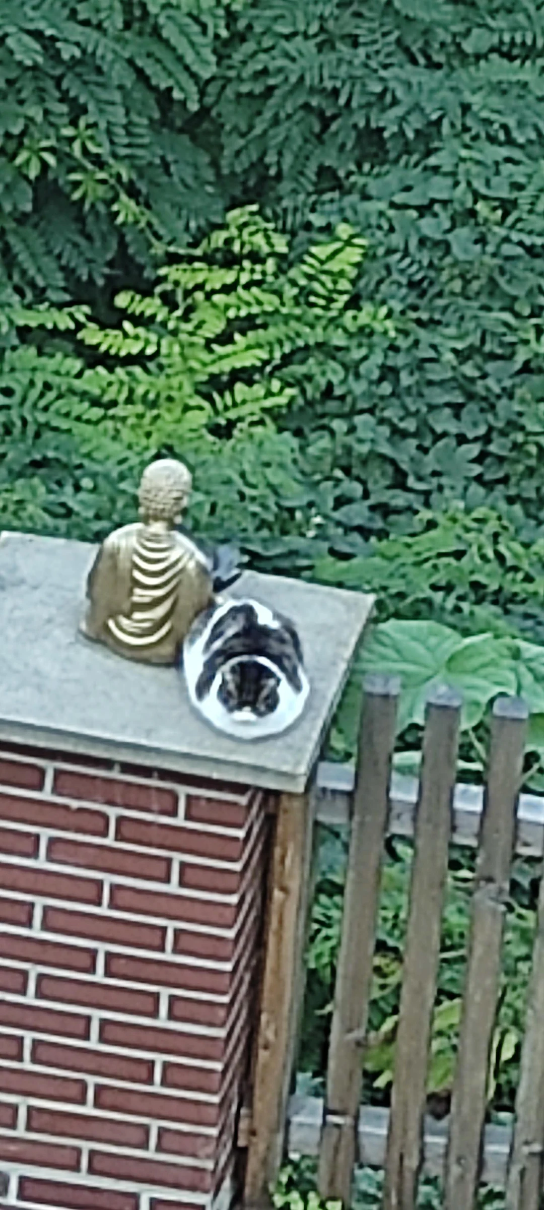 Fat loaf from afar | Scrolller