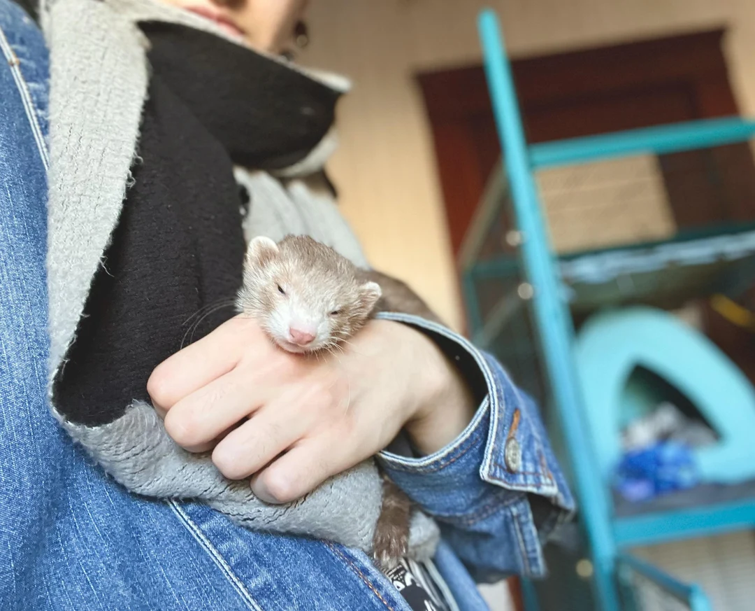 The smallest and most cuddliest girl | Scrolller