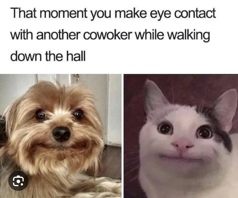 This is accurate | Scrolller