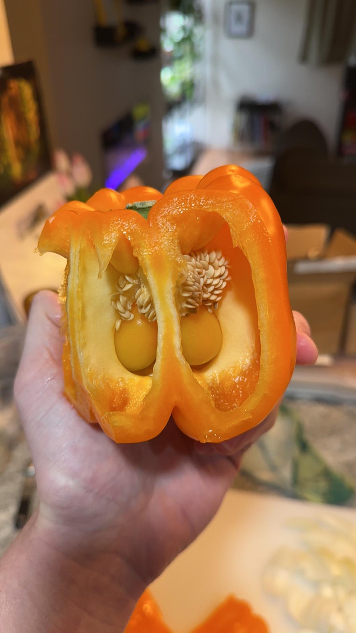 My pepper had triplets | Scrolller