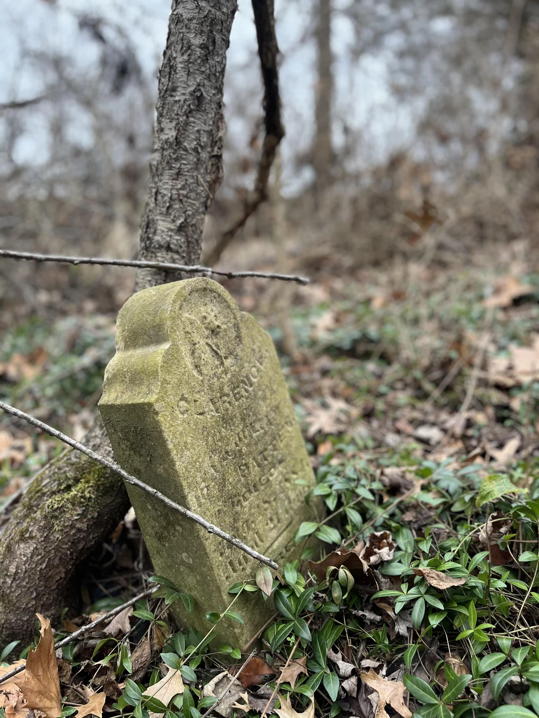 Graves being lost to time & nature. | Scrolller
