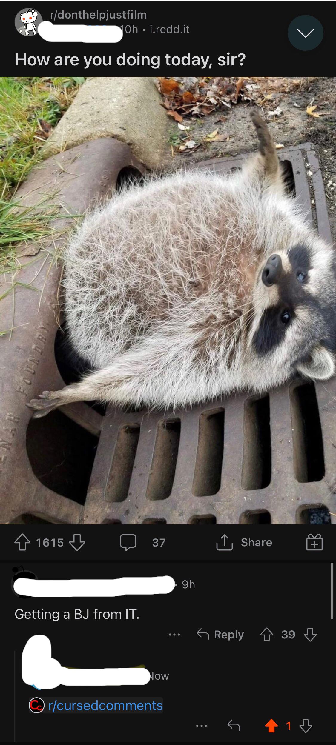 Cursed_BJ | Scrolller