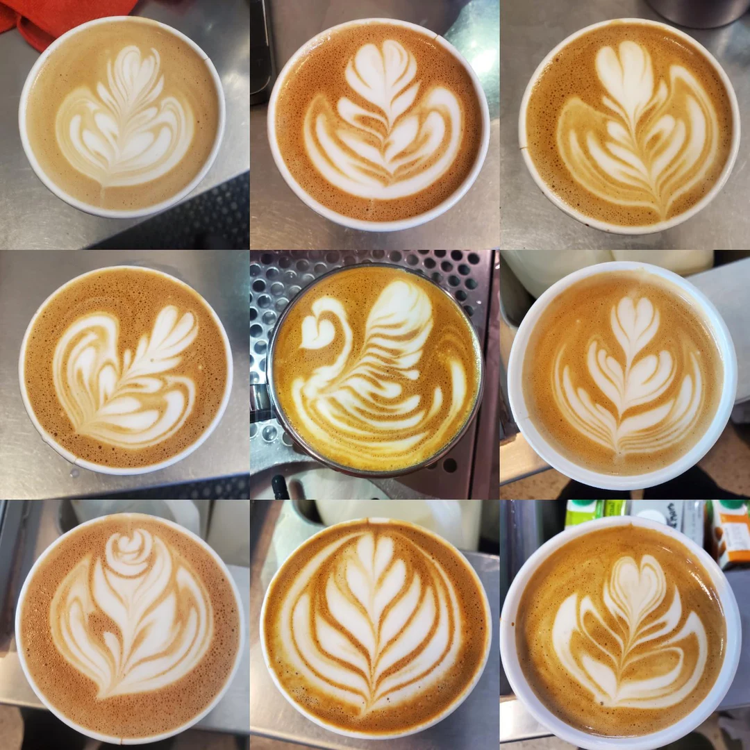 Rosettas have been cleaning up!! | Scrolller