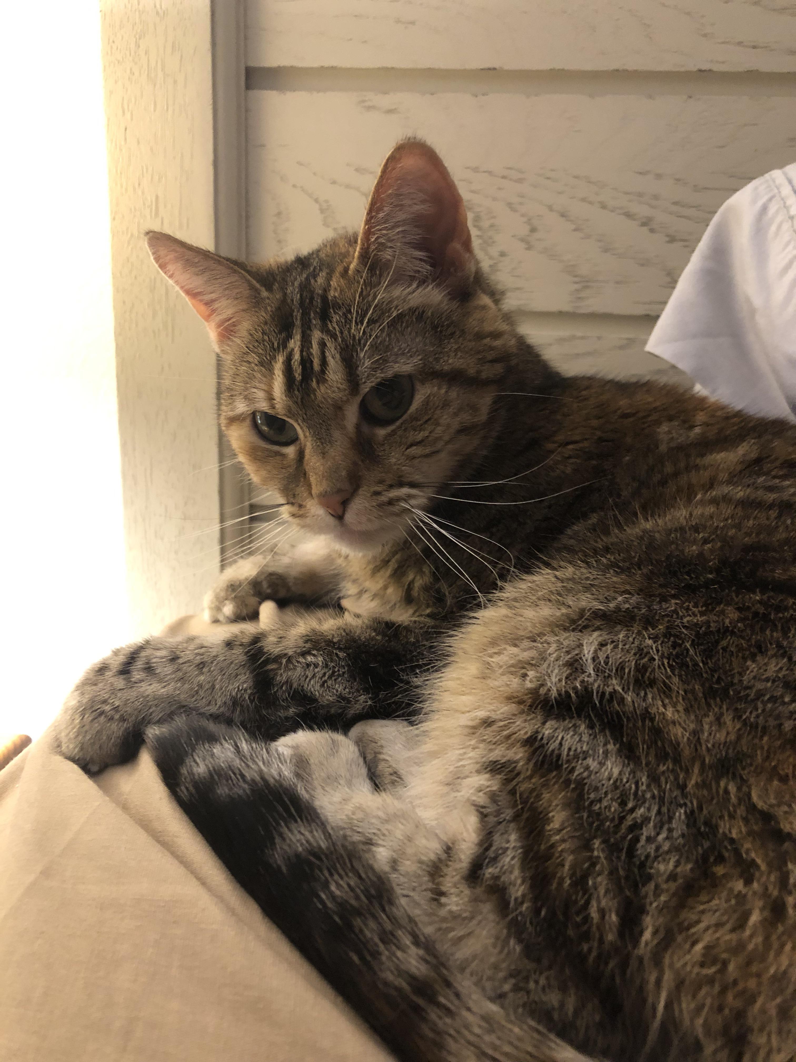 Quit taking pics and go to sleep, ma. | Scrolller