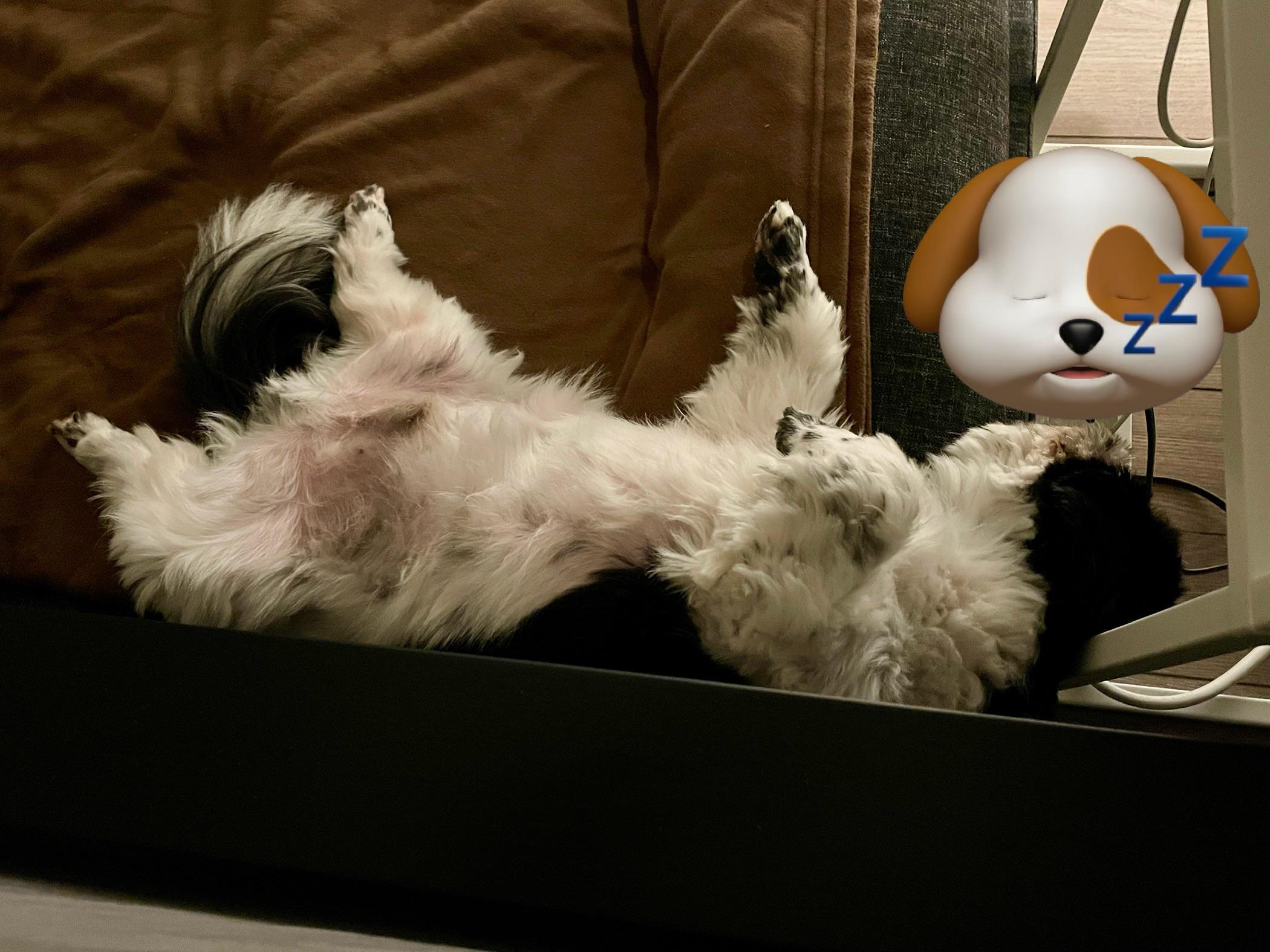 My son looks very tired like he was working overtime | Scrolller