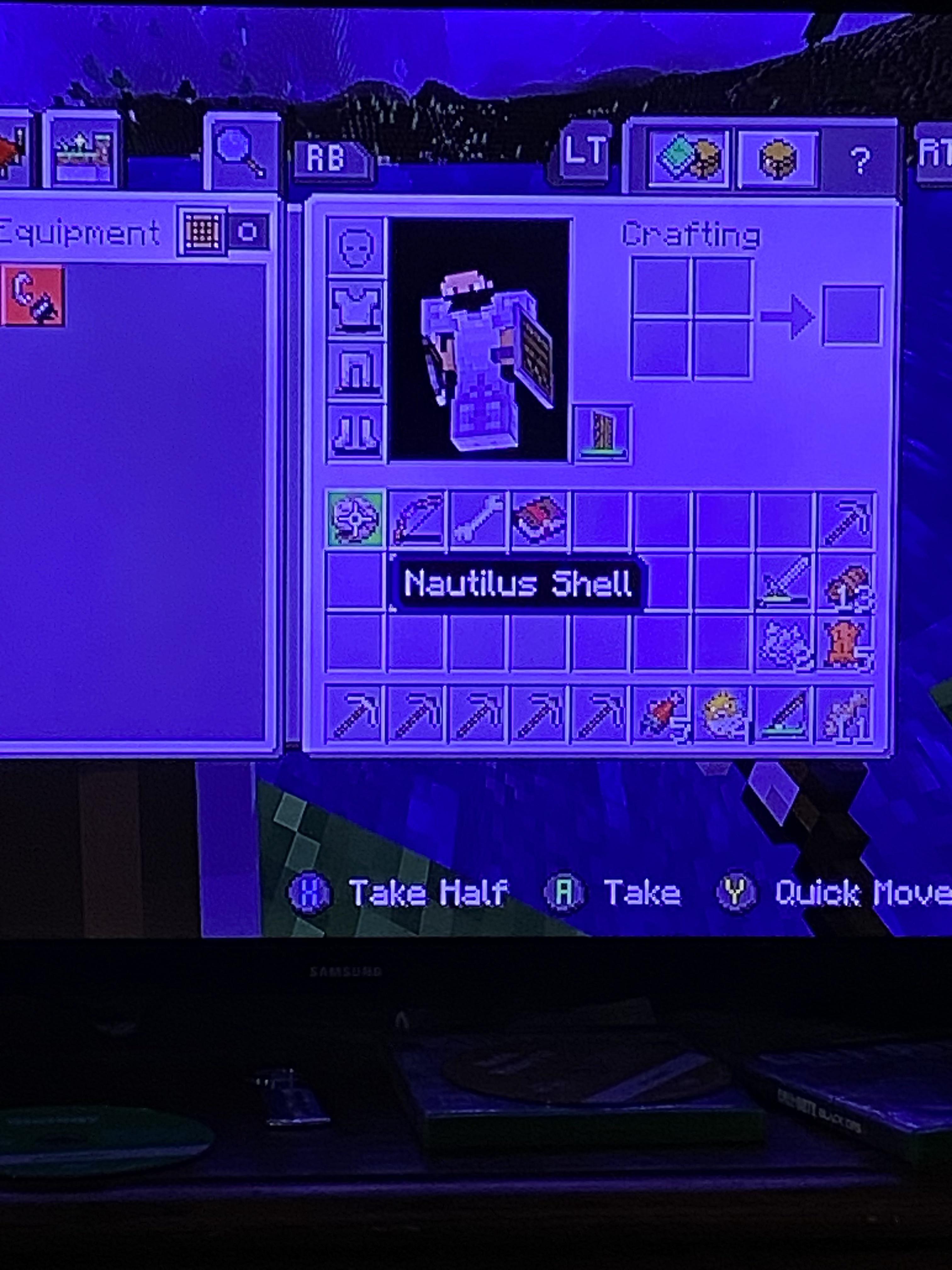 Caught a nautilus shell from fishing | Scrolller