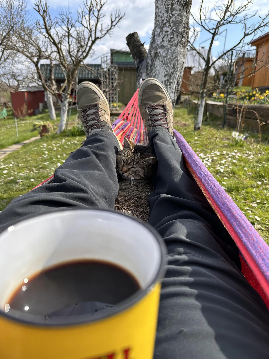 “Cozy” is relative to money… | Scrolller