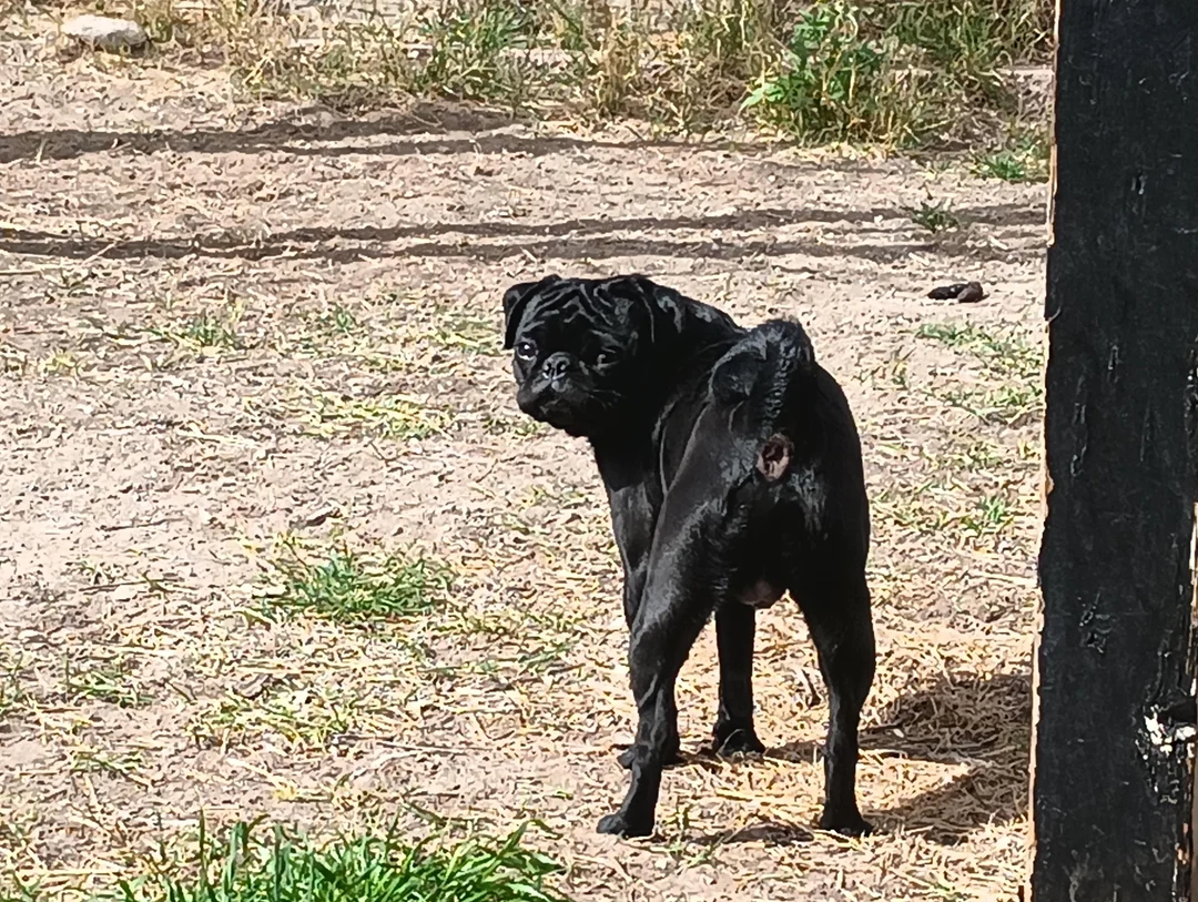 Butthole | Scrolller