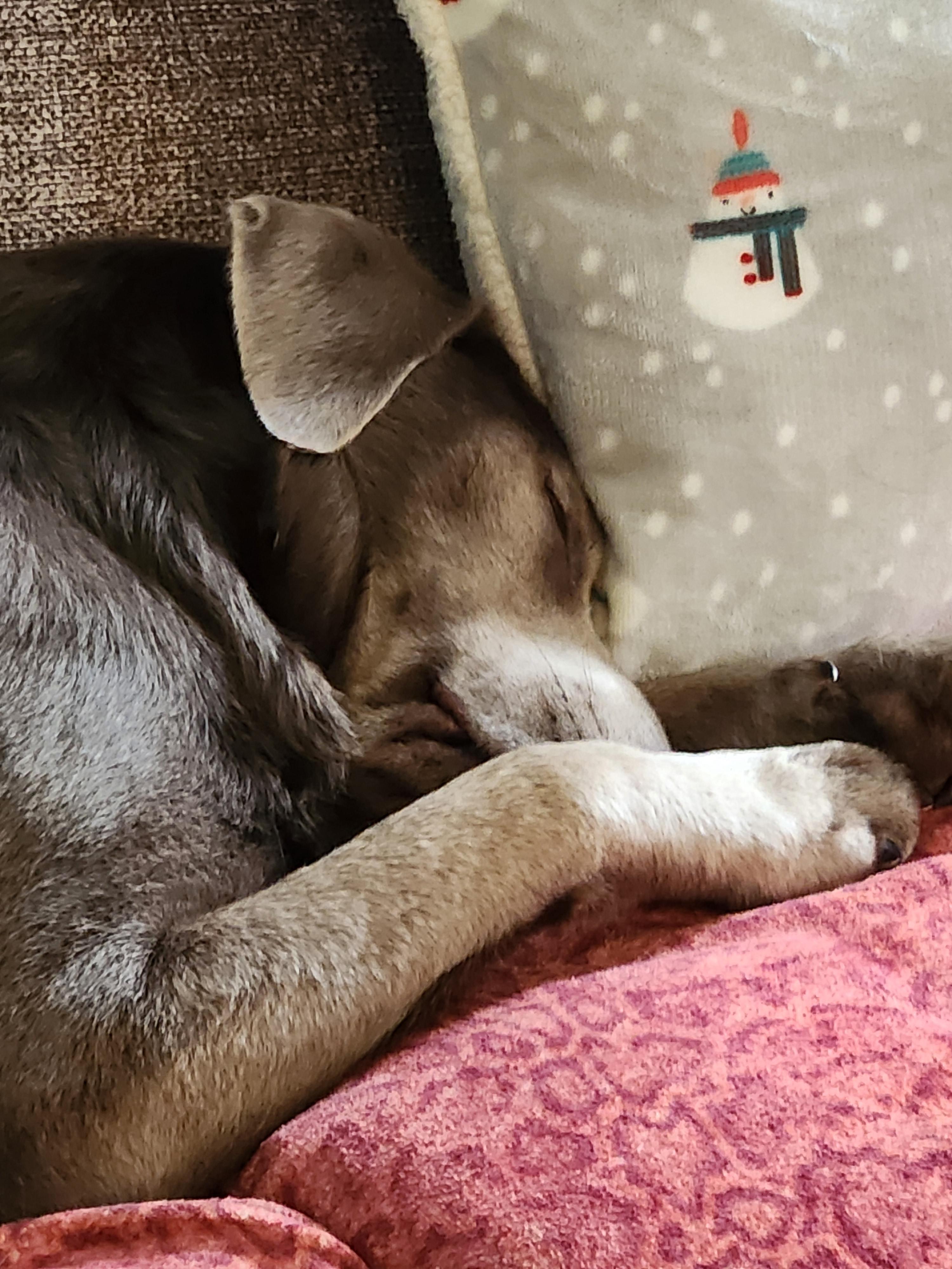 Sweet Sophie | Scrolller