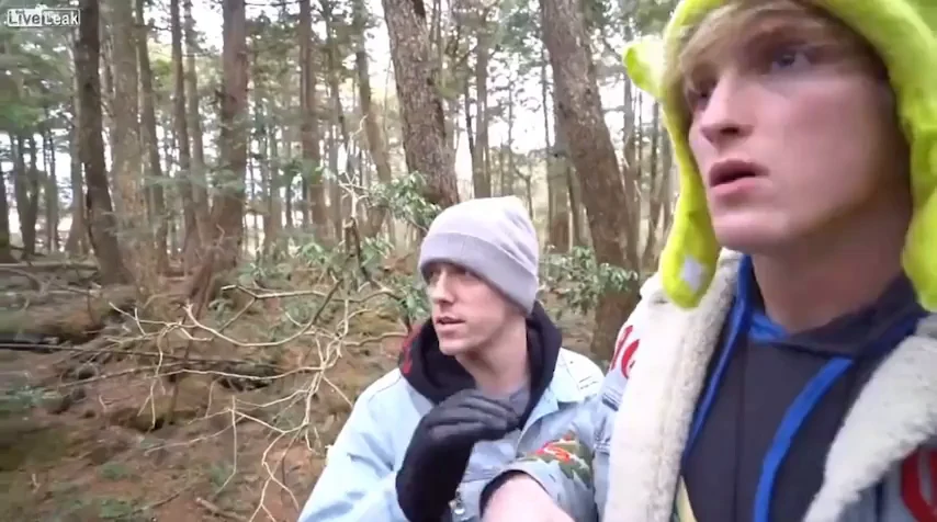 Logan paul suicide forest | Scrolller