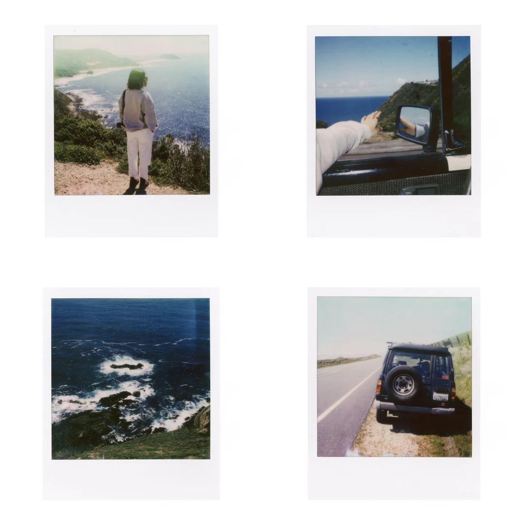 Strawberry Revolution | Scrolller