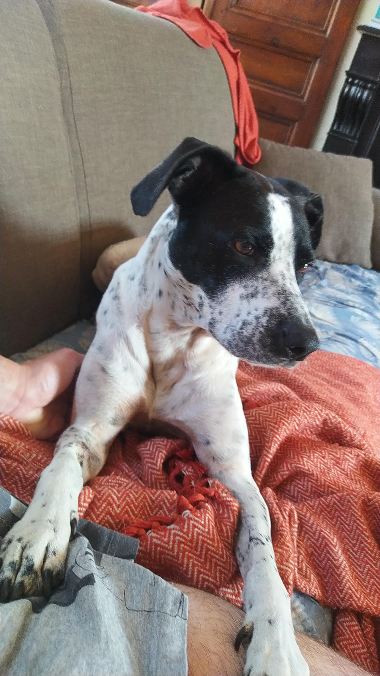 Meet Olaf | Scrolller