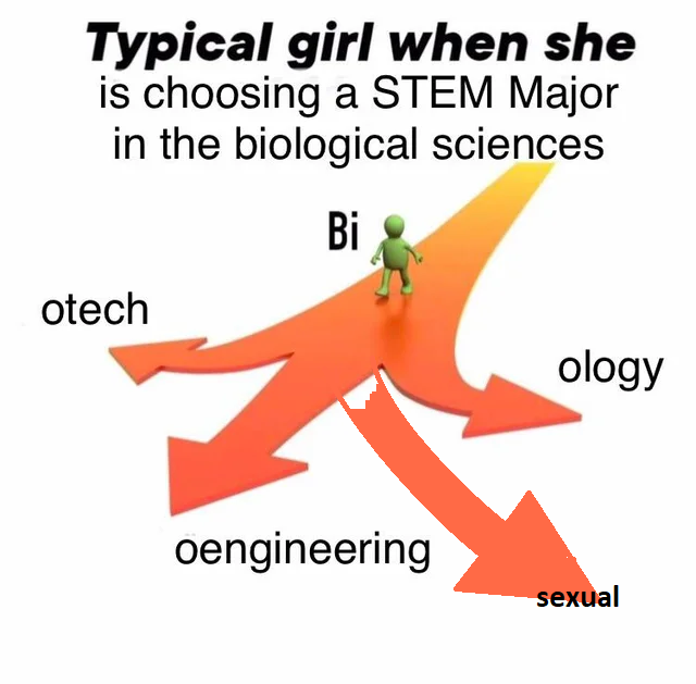 Choosing the right career path is hard, so here's a handy guide to make it simple. | Scrolller