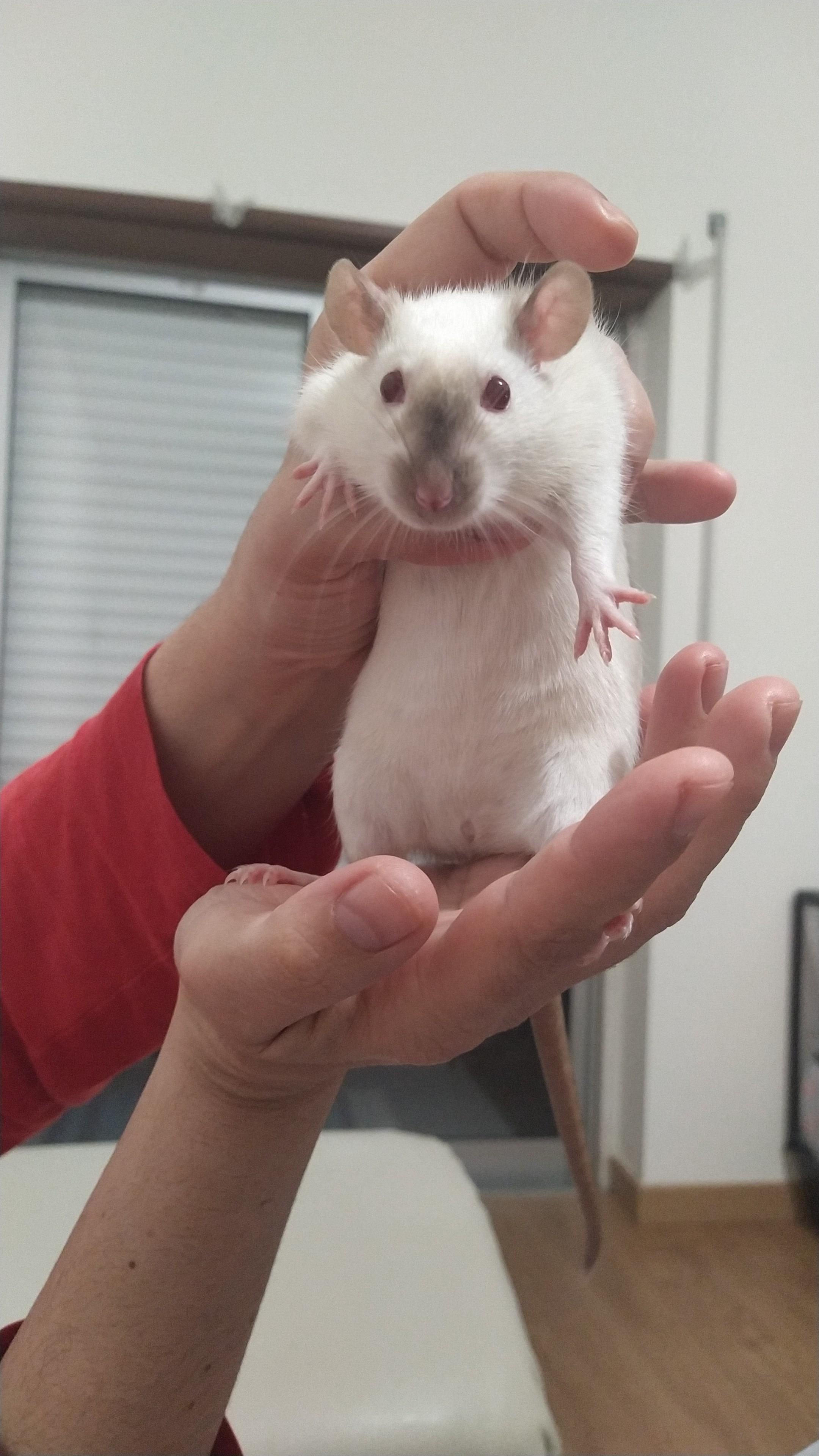 Lilith Is A Cutie Scrolller