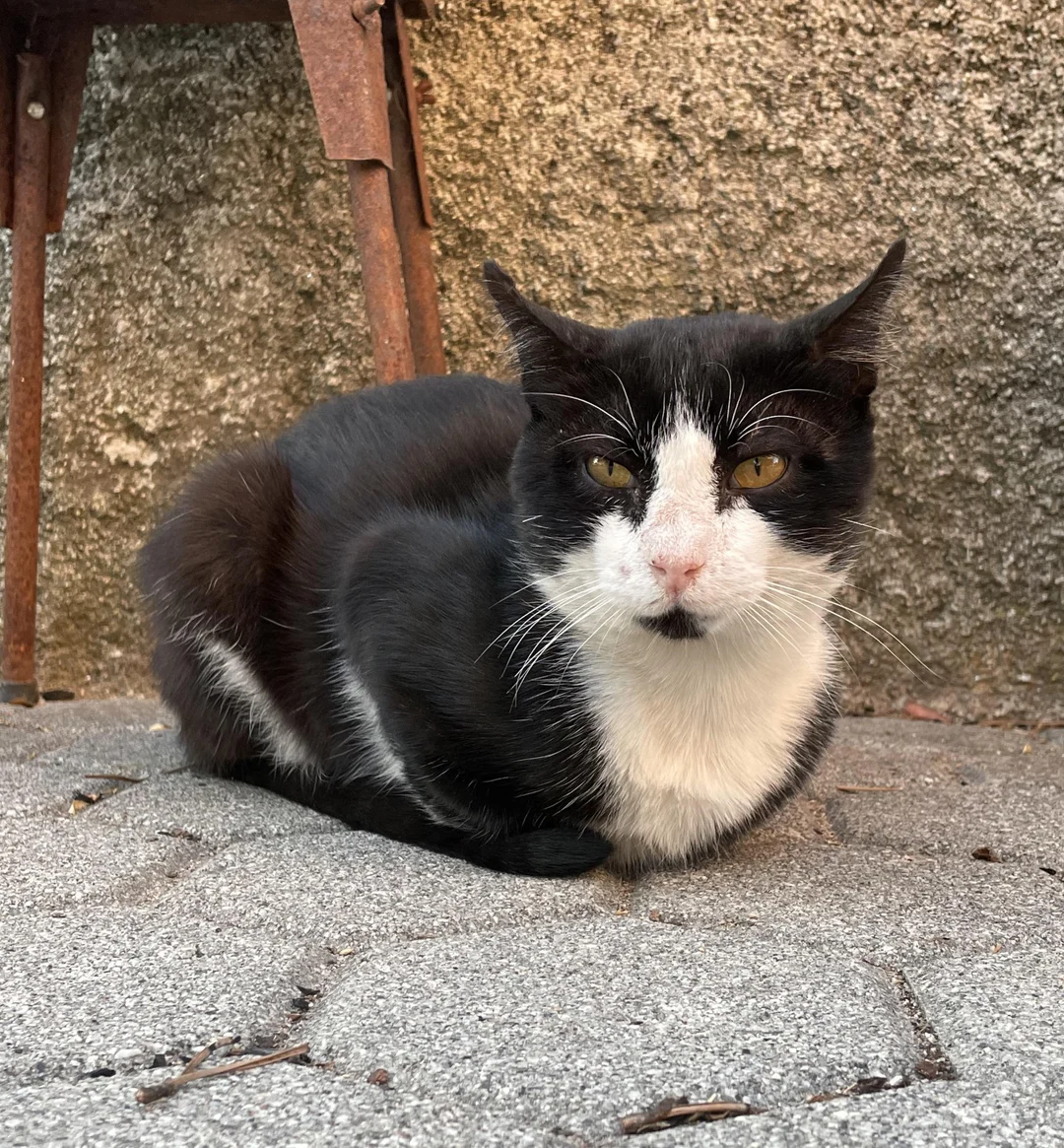 Marble loaf | Scrolller