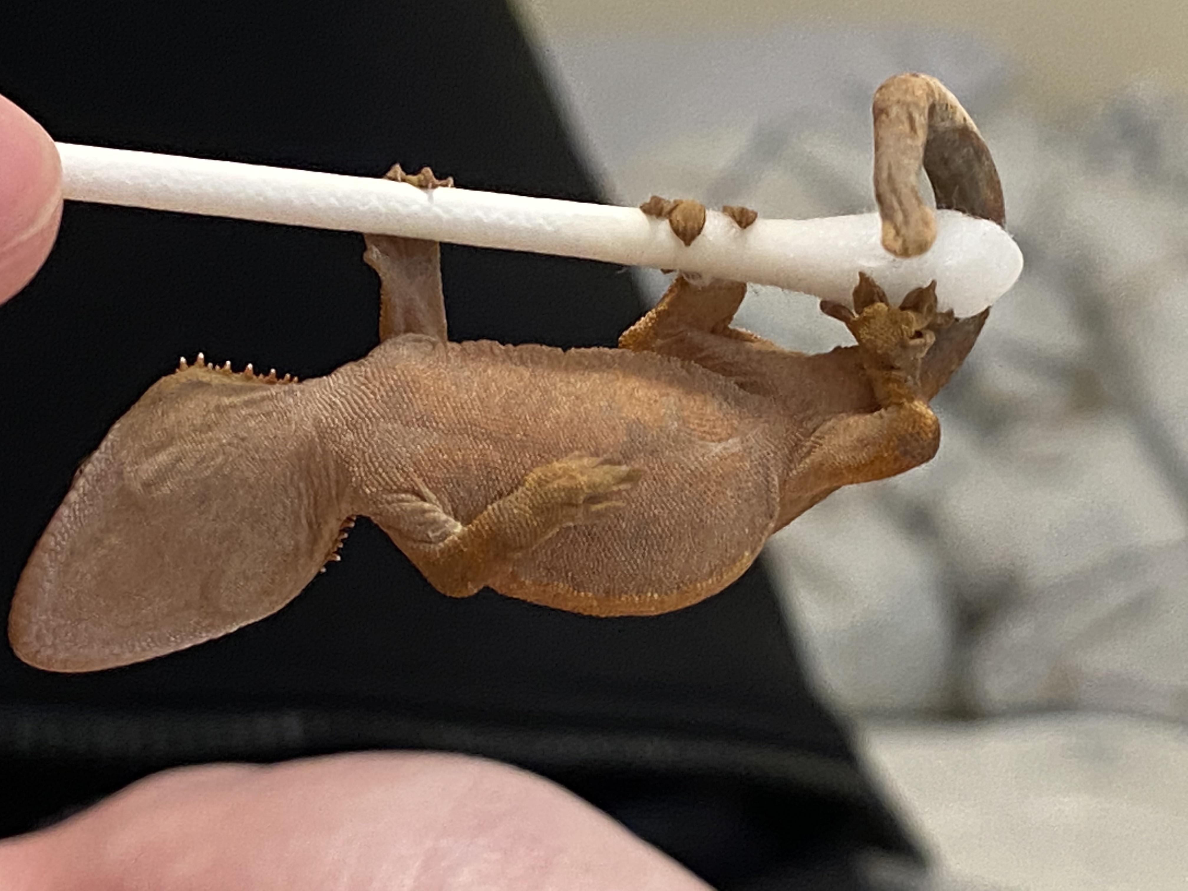 just hangin | Scrolller