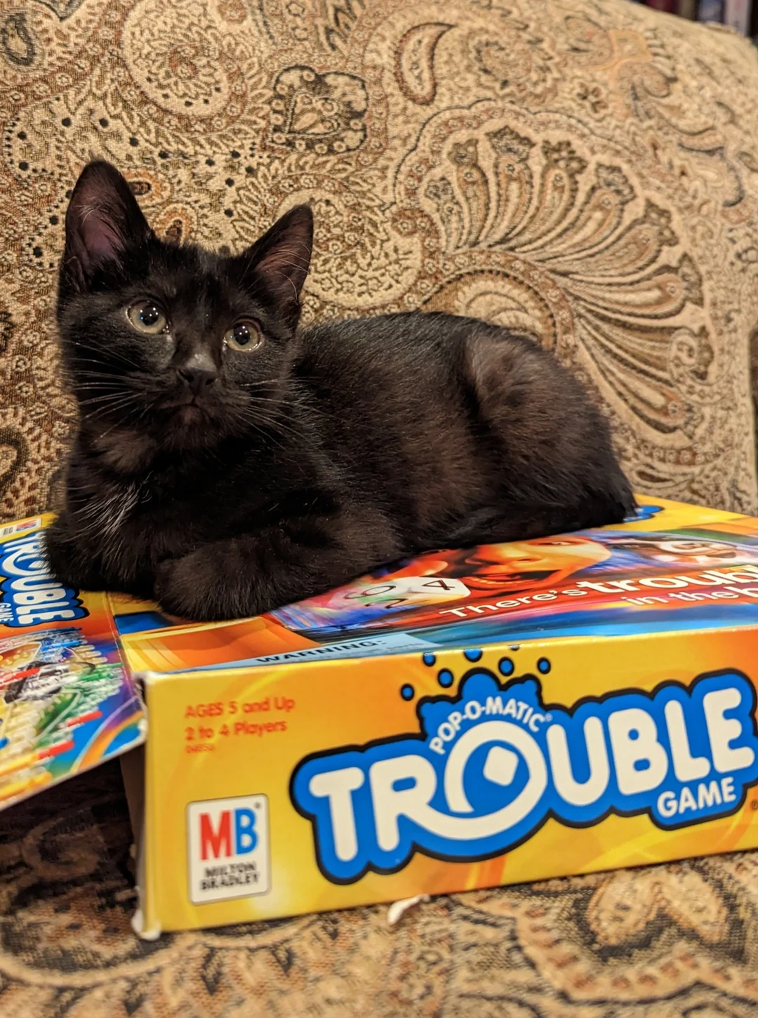 Trouble loaf! | Scrolller
